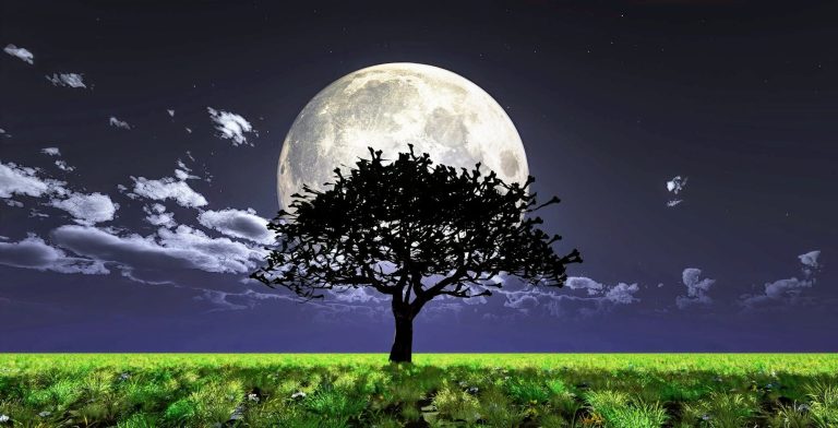 Earth.com -- Earth News, Earth Images, Earth Videos