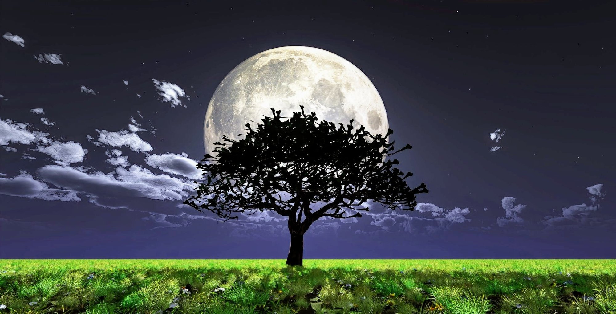 "Noah's Ark" built on the moon will store DNA of Earth's biodiversity ...
