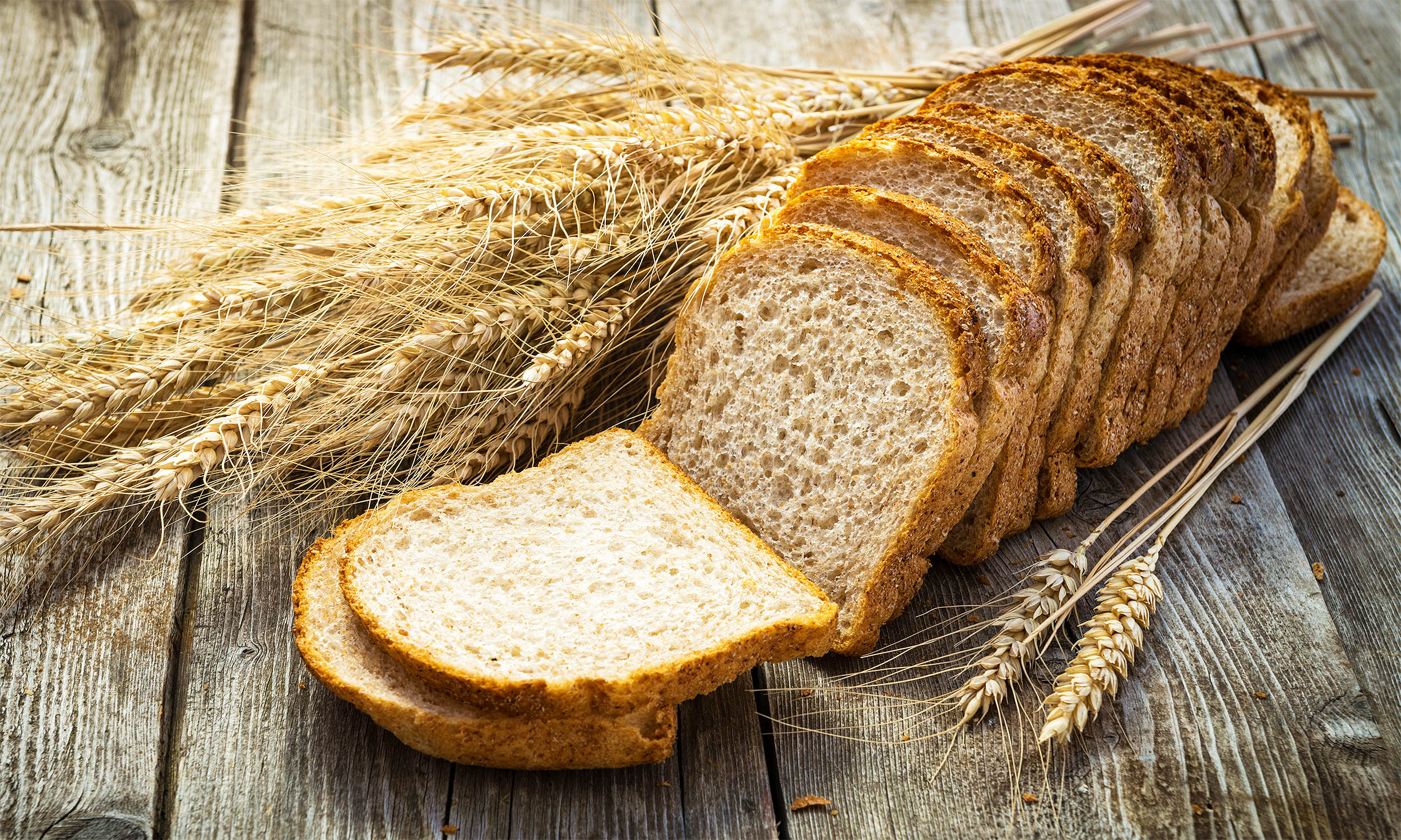 How bread and wheat gave rise to a civilization of 8 billion people ...