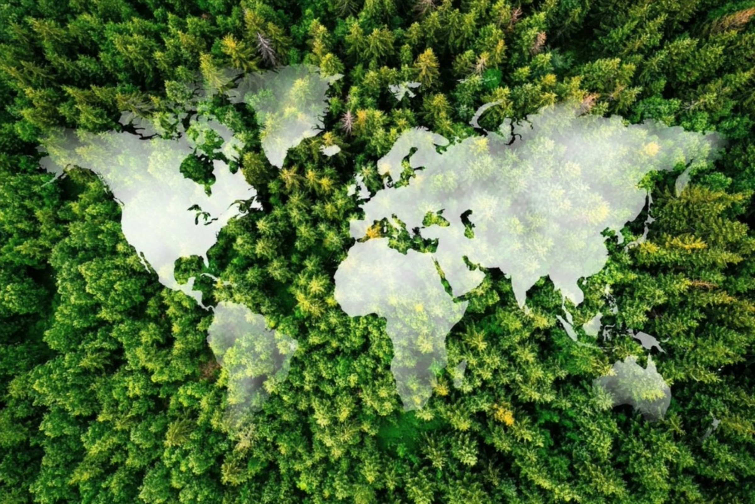 Capable countries must take the lead on climate goals - Earth.com