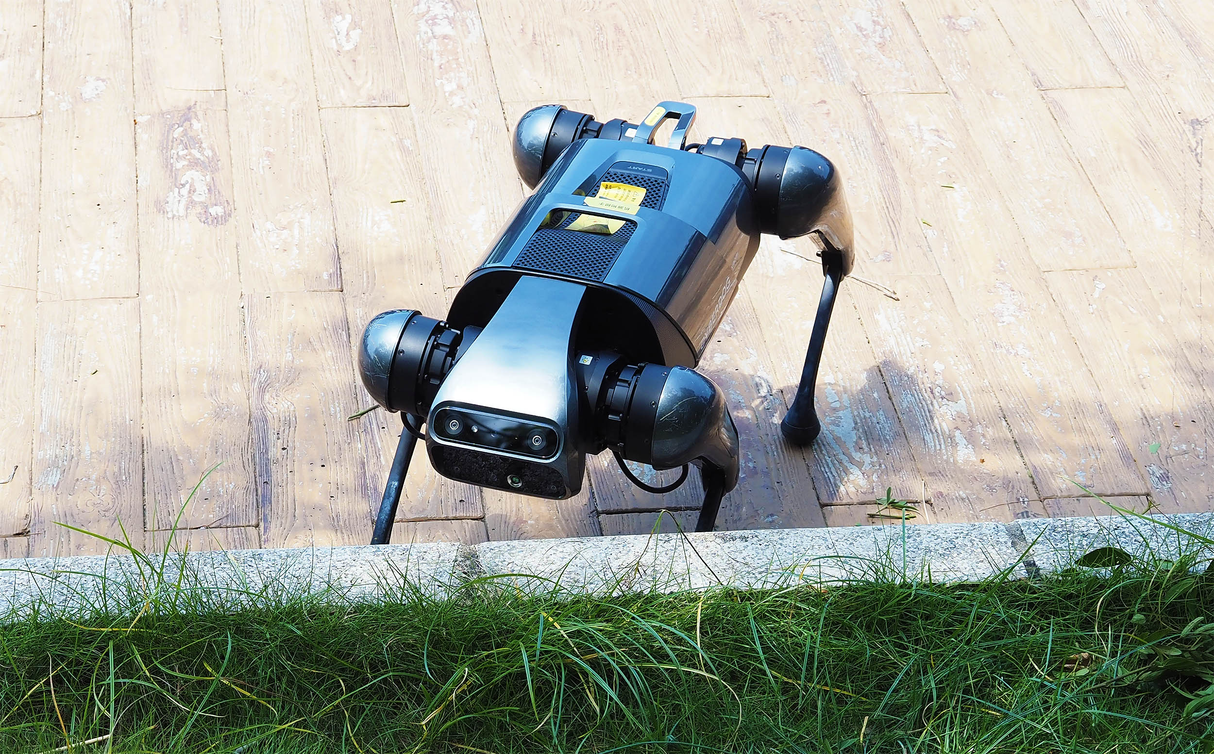 AI-driven "CyberDog" enlisted in battle against invasive fire ants ...