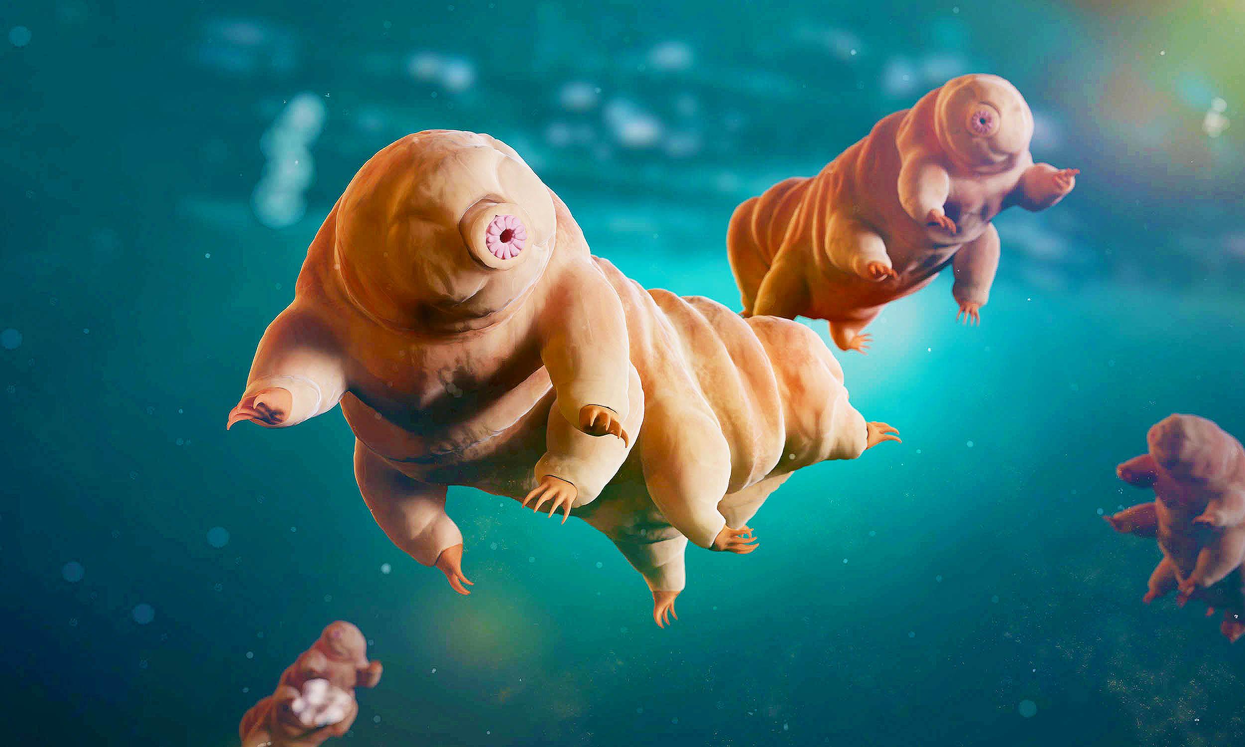 "Water bear" fossils show how they always survive mass extinctions ...