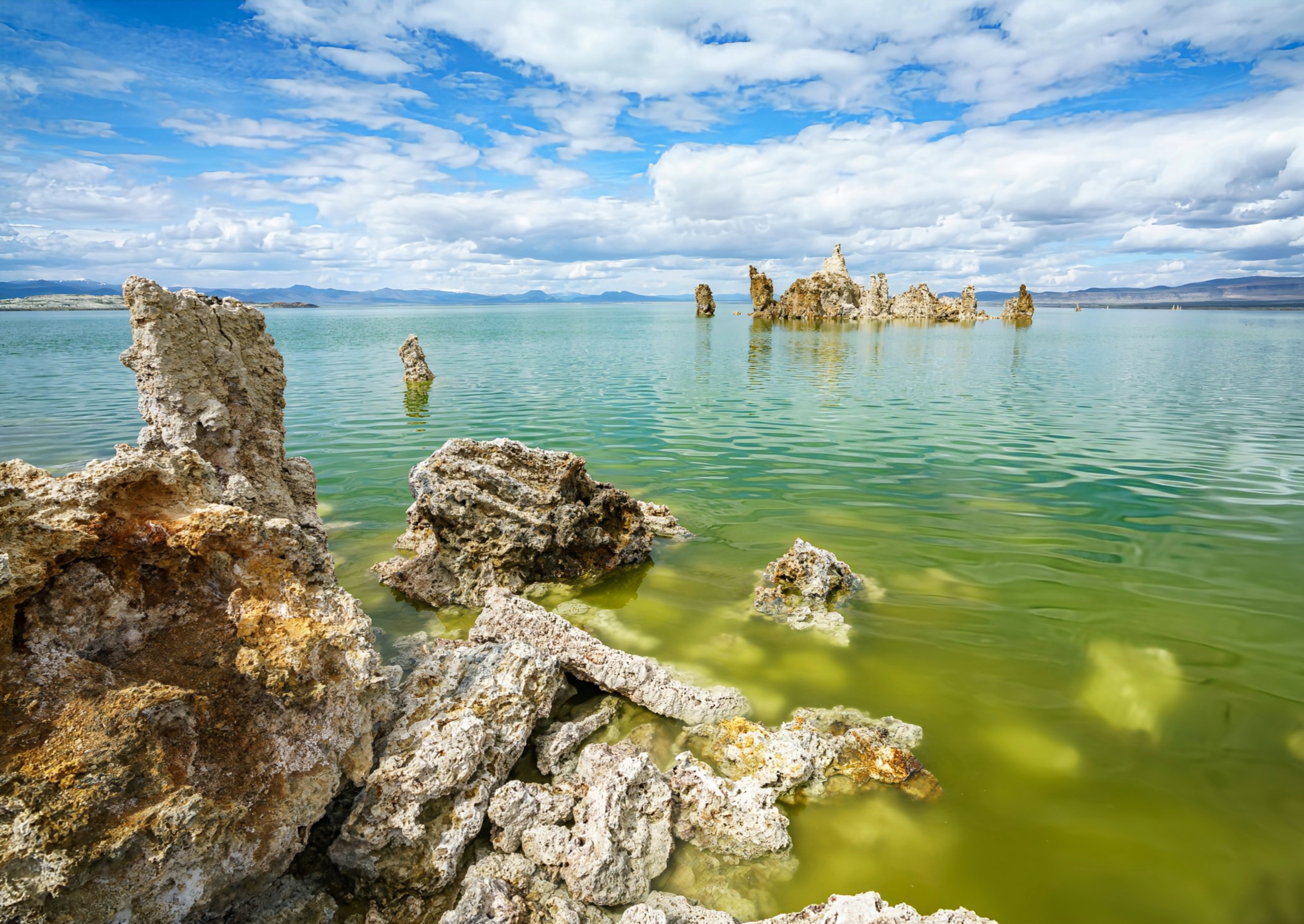 Tiny creature in Mono Lake may shed light on animal evolution - Earth.com