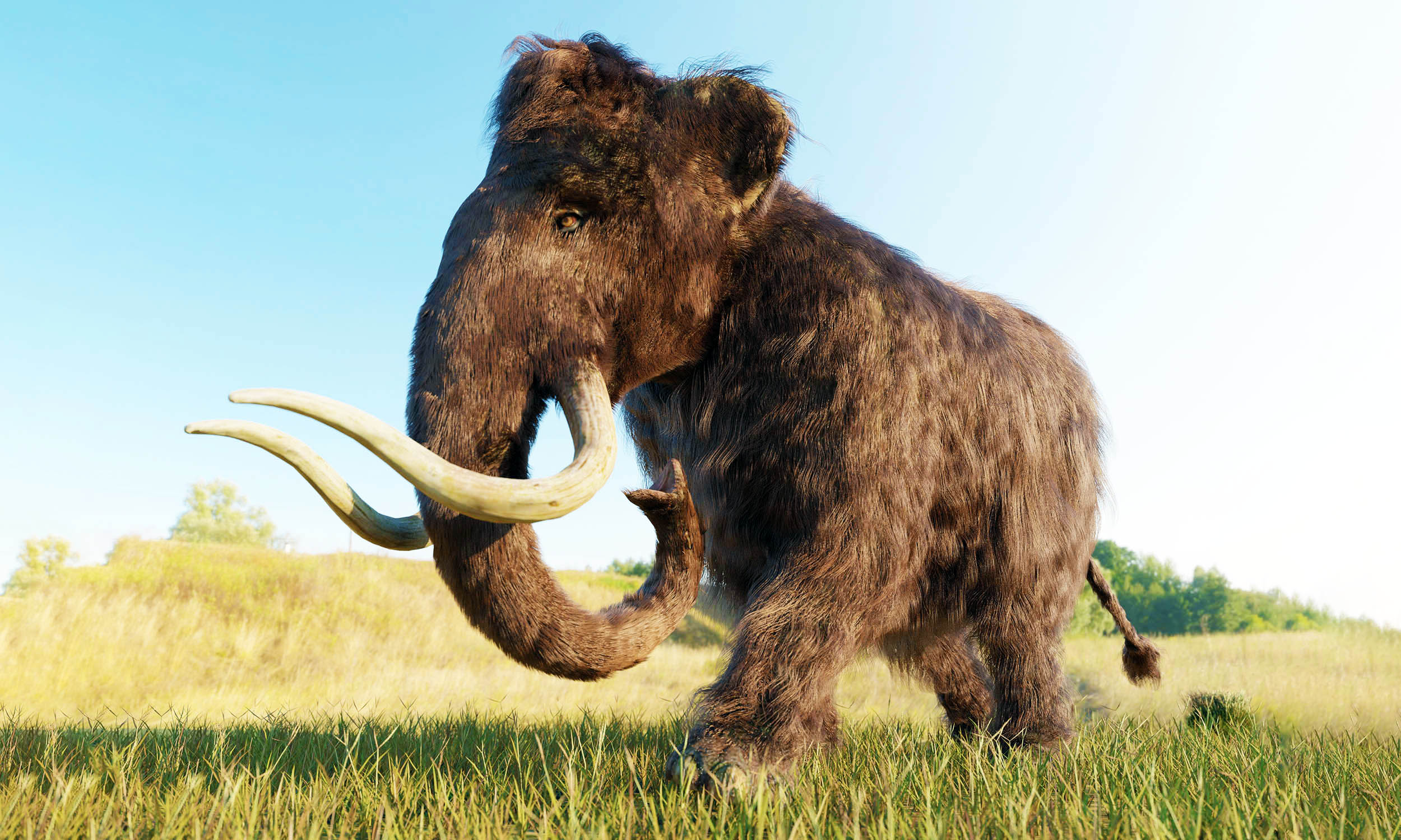 Woolly Mammoth Extinction Firm Raises $15m To Bring Back Woolly