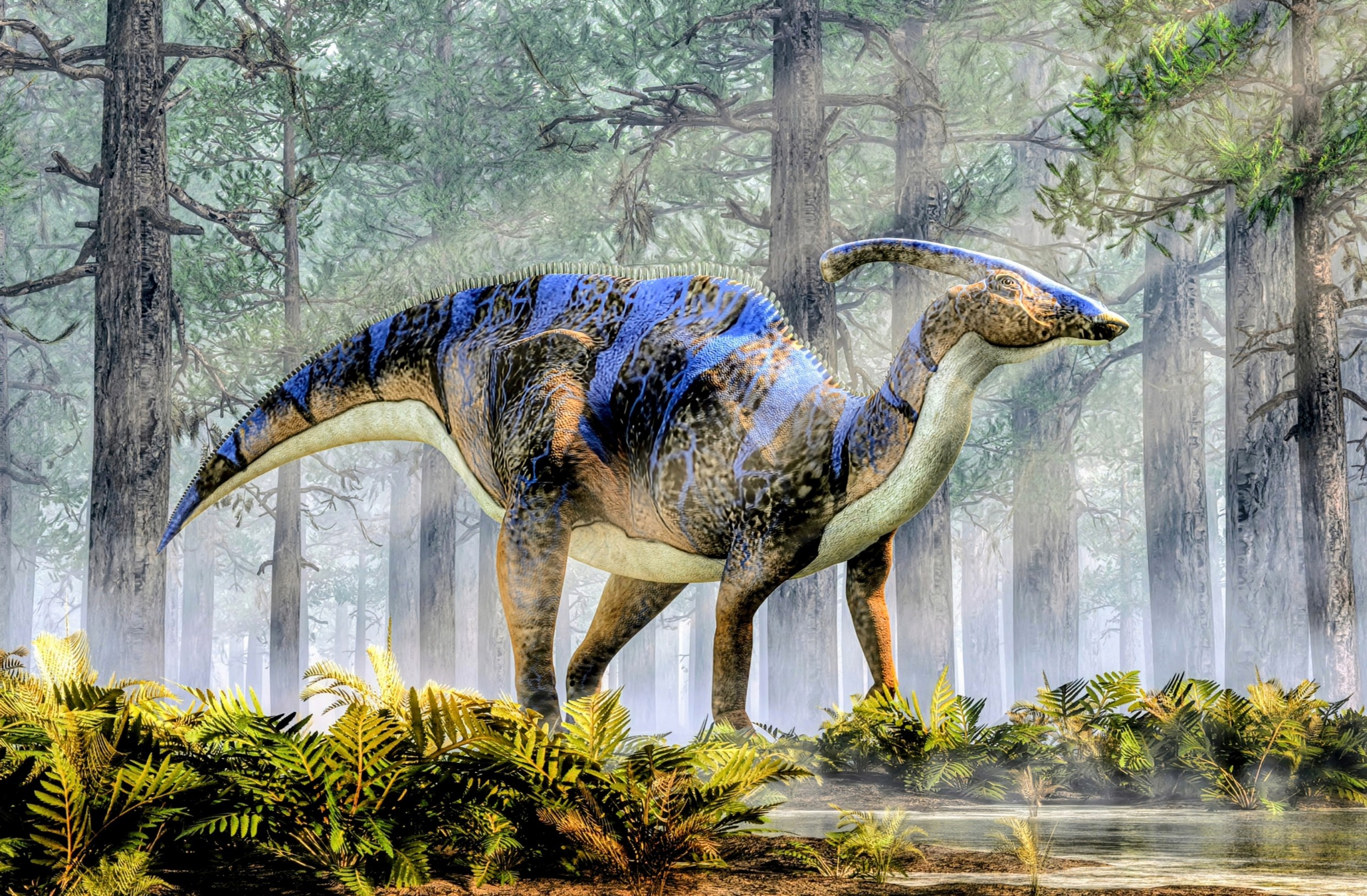 What Does A Hadrosaur Eat