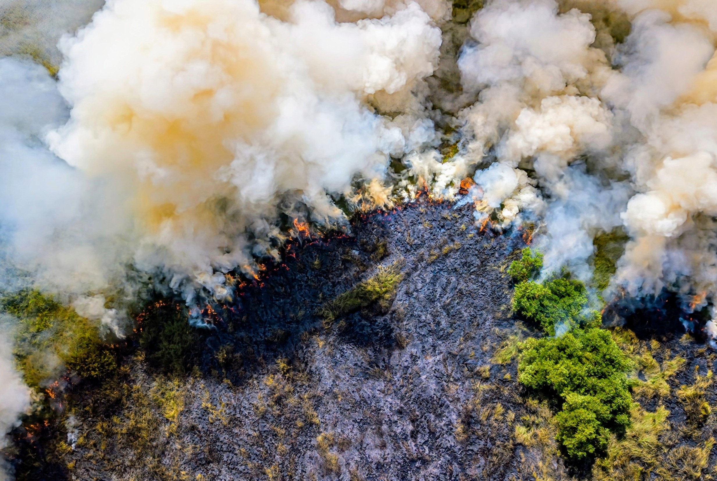 Ultrafine particles in wildfire smoke change weather patterns - Earth.com