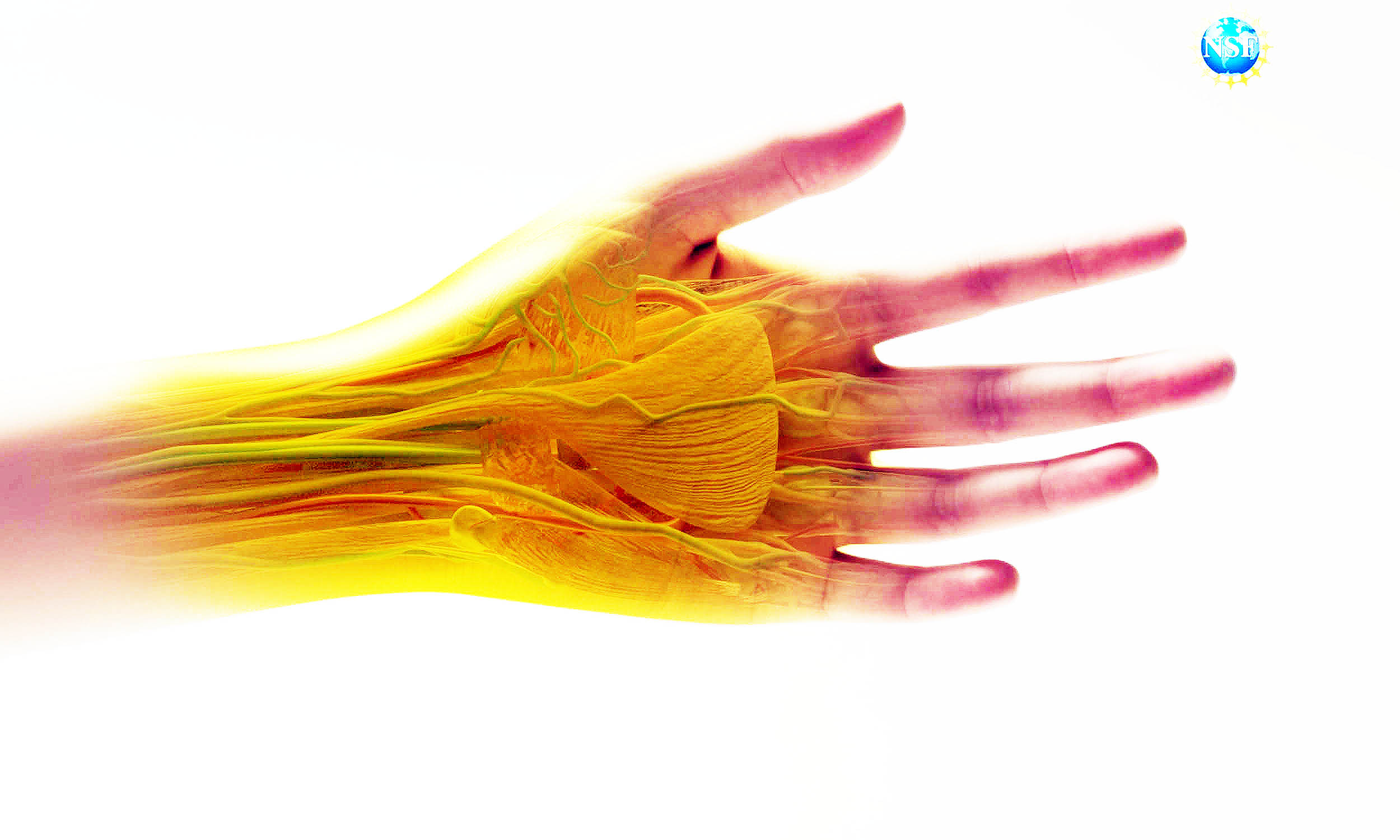 Common food dye makes skin "invisible" for medical imaging - Earth.com