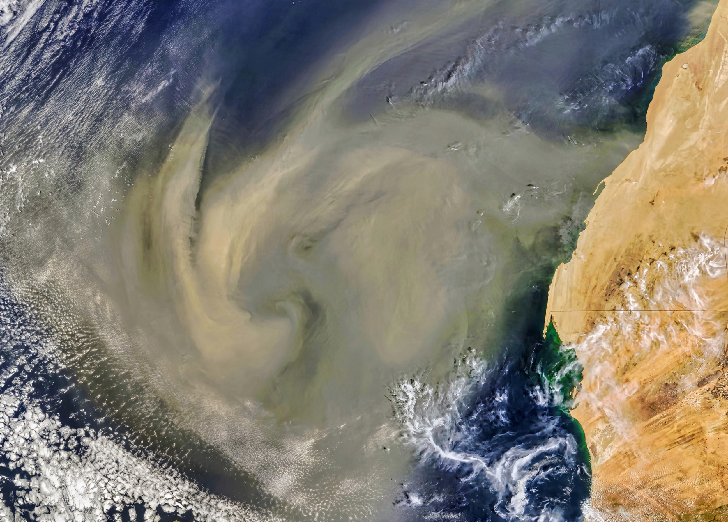 Saharan dust supports ocean life far from the desert - Earth.com