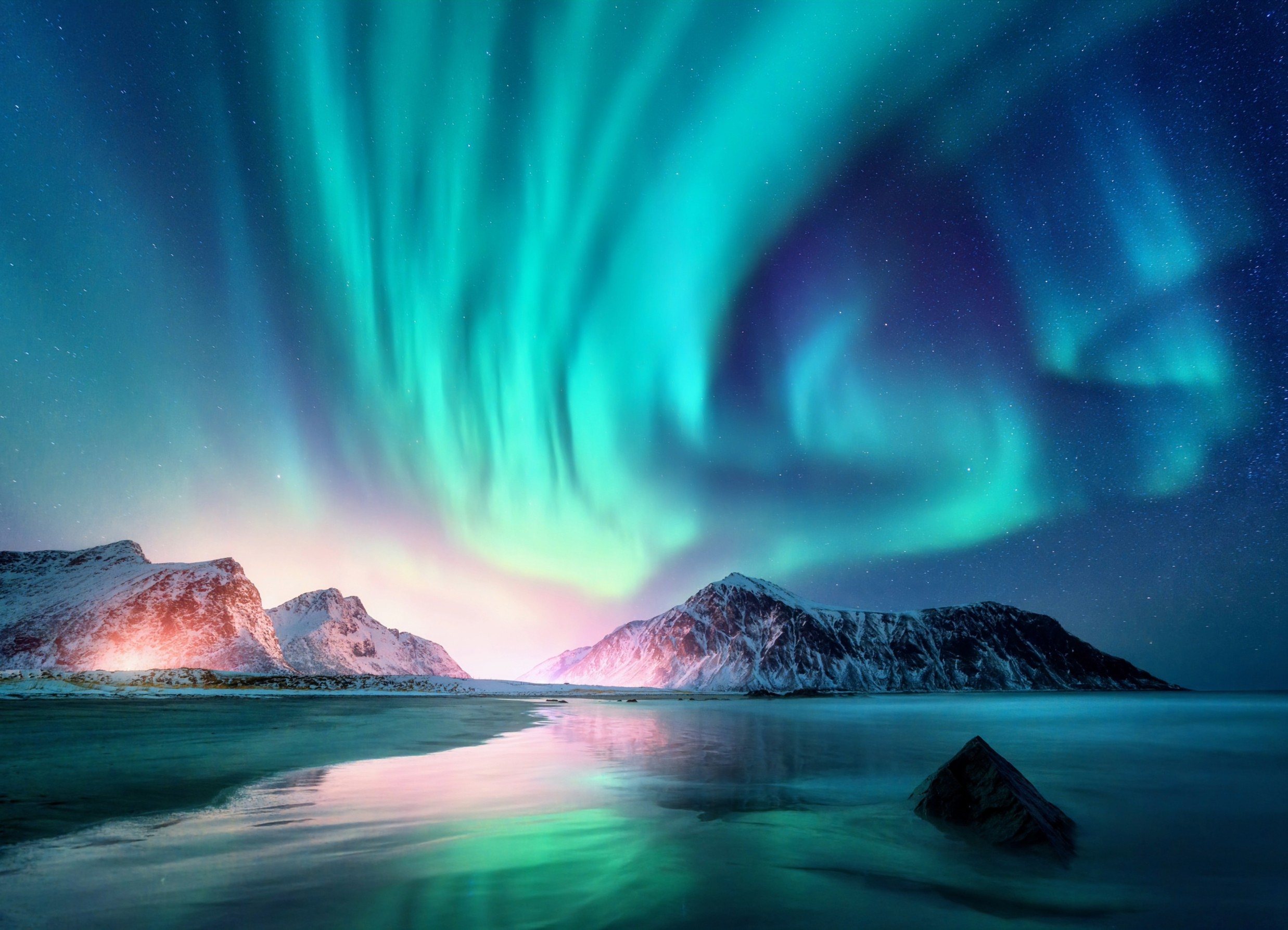 Polar light sustains biodiversity over millions of years - Earth.com