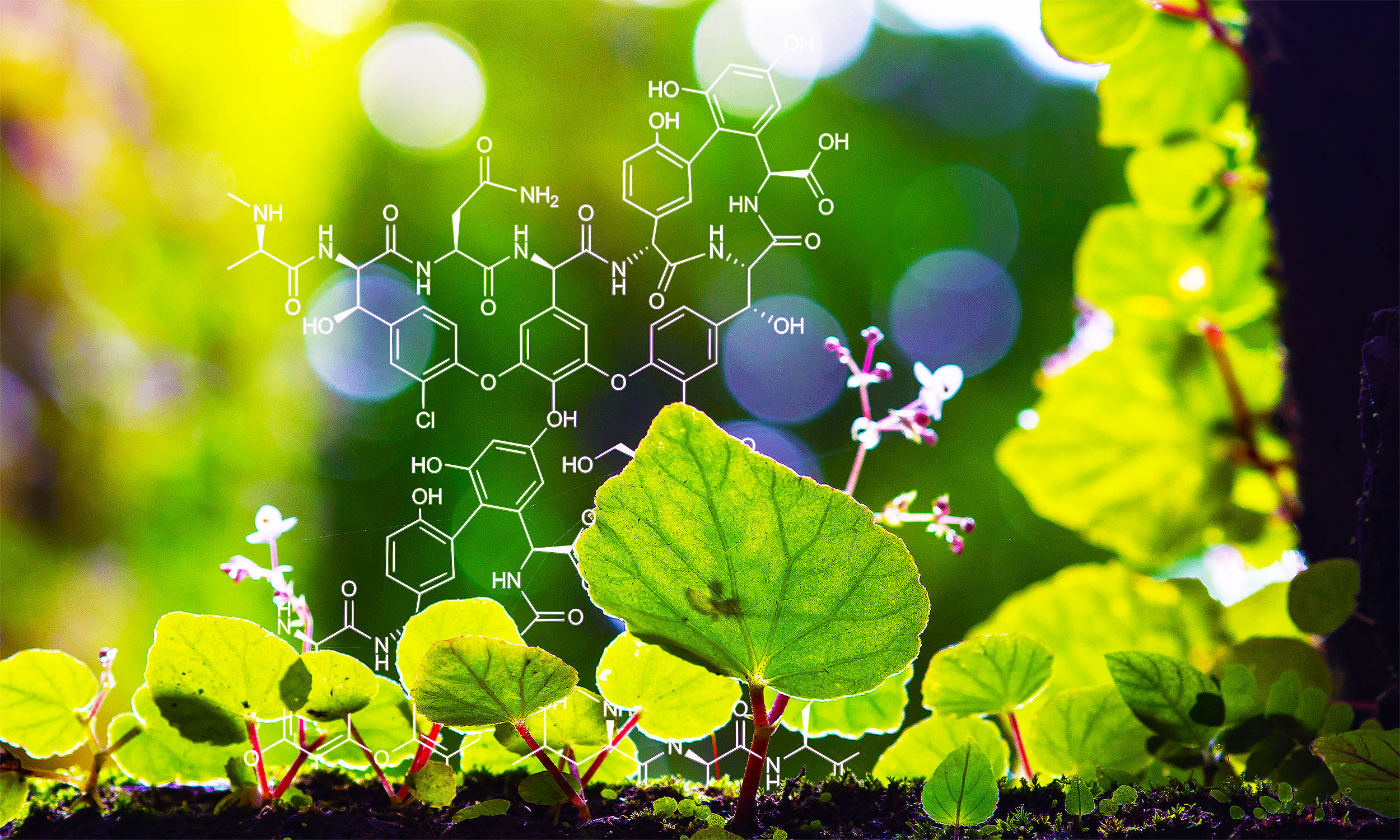 Plant communication captured on video for the first time ever - Earth.com