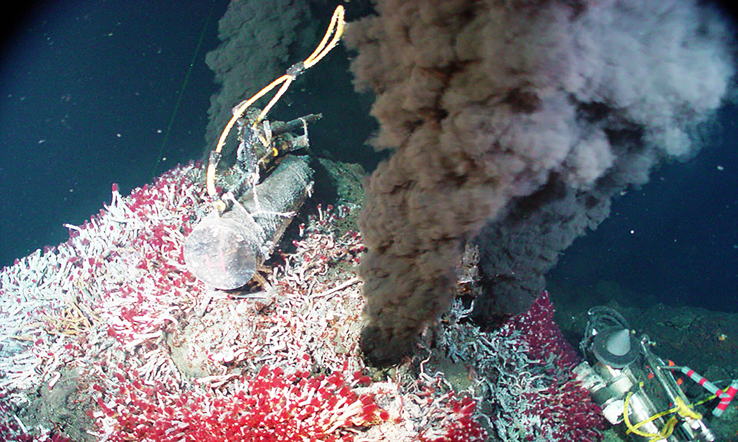 Deep-sea hydrothermal vents provide clues about the origin of life ...
