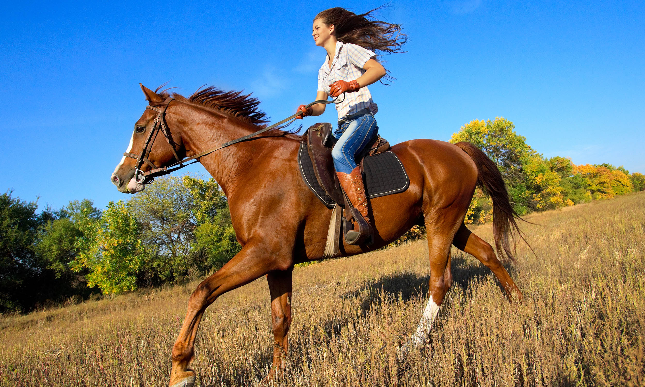 Horseback riding changes human skeletons, especially the hips - Earth.com
