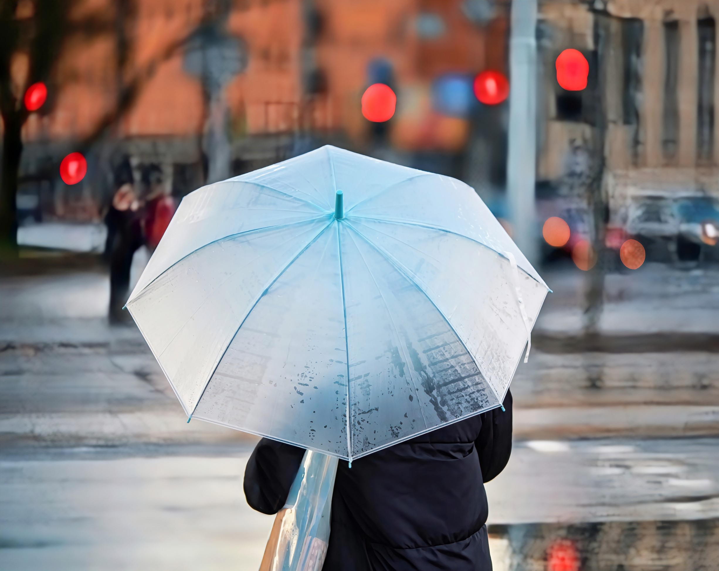 Winters are set to become much wetter in the United States - Earth.com