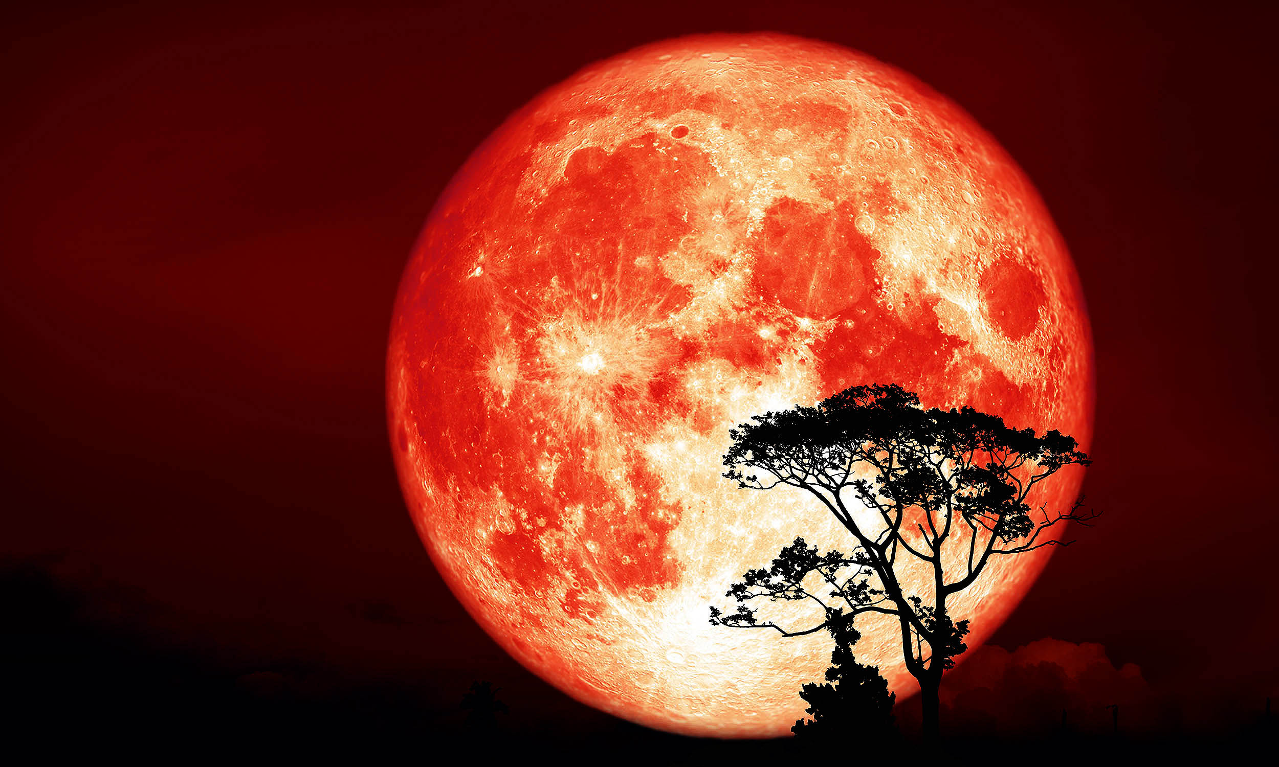 "Hunter's Supermoon" prepares to light up October skies this week ...