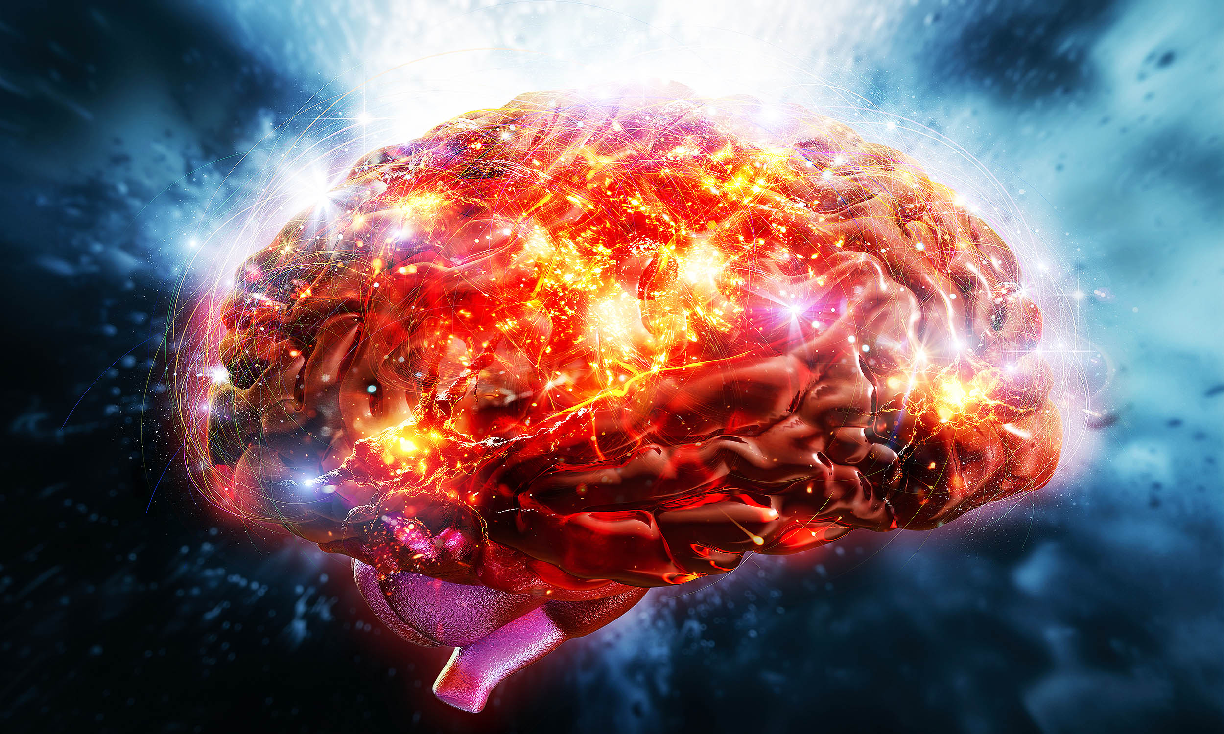 Our brains literally "change" based on sleep, activities, and lifestyle ...