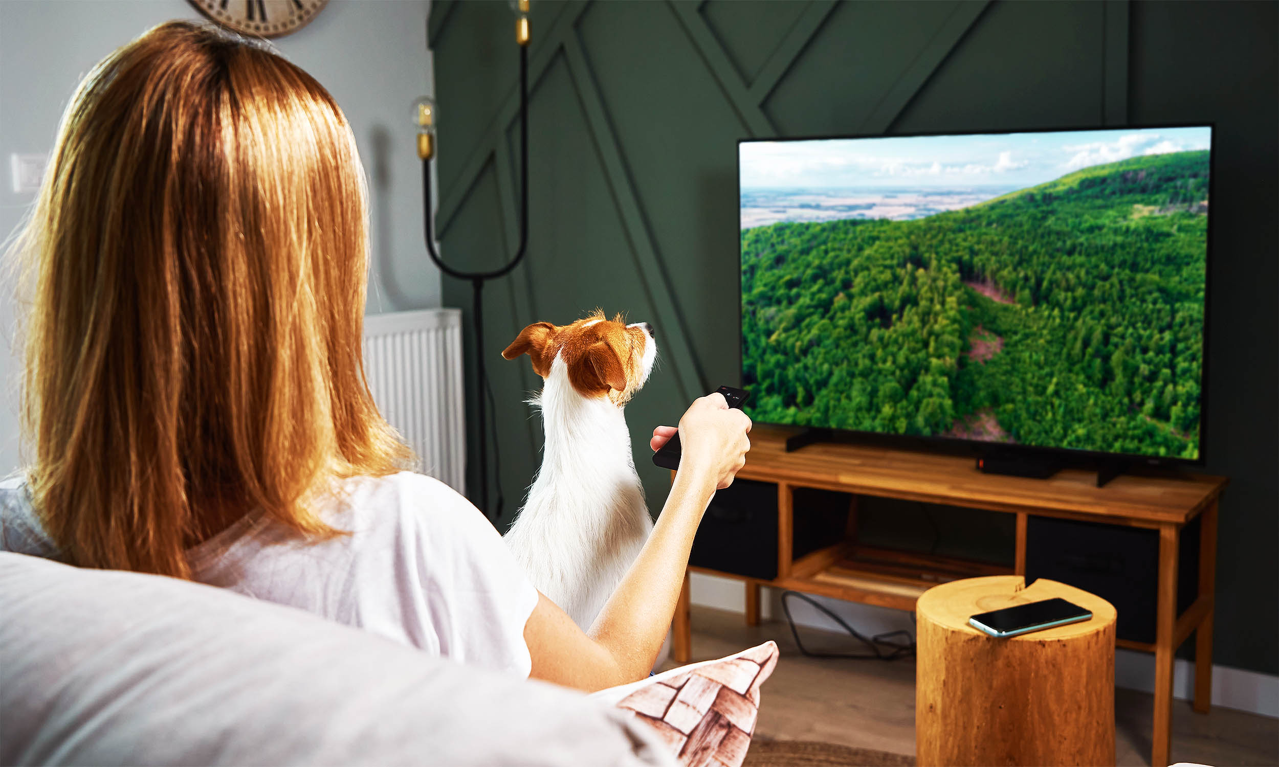 Dogs are evolving to fit the modern lives of humans - Earth.com