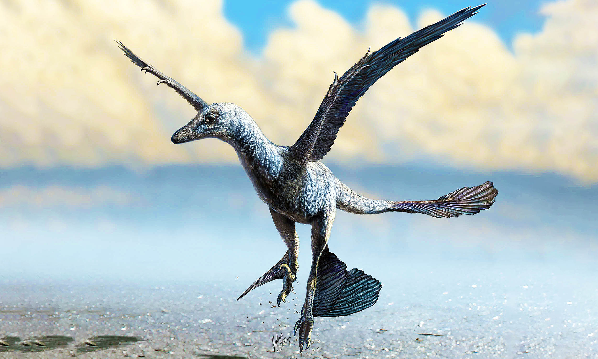 Flap-running: Feathered dinosaurs used wings to run, not fly - Earth.com