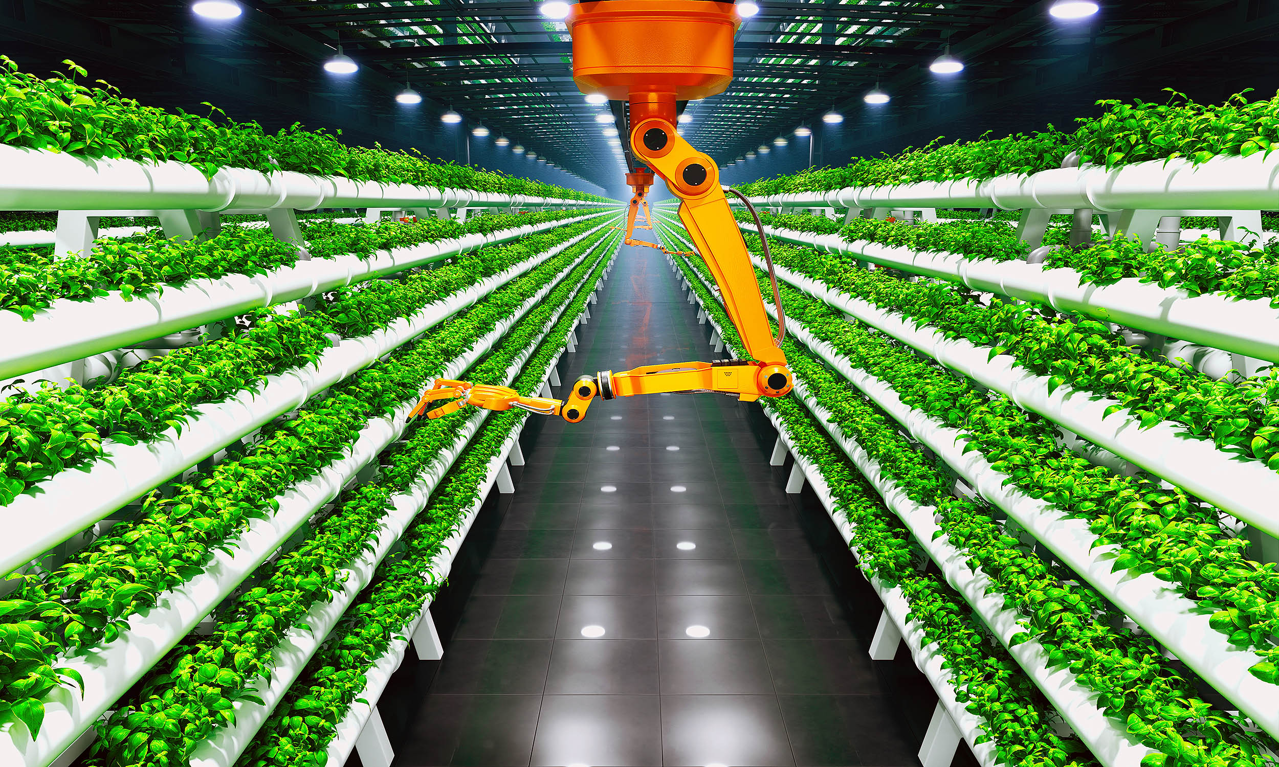 "Electro-agriculture" grows plants in the dark, using 94% less land ...