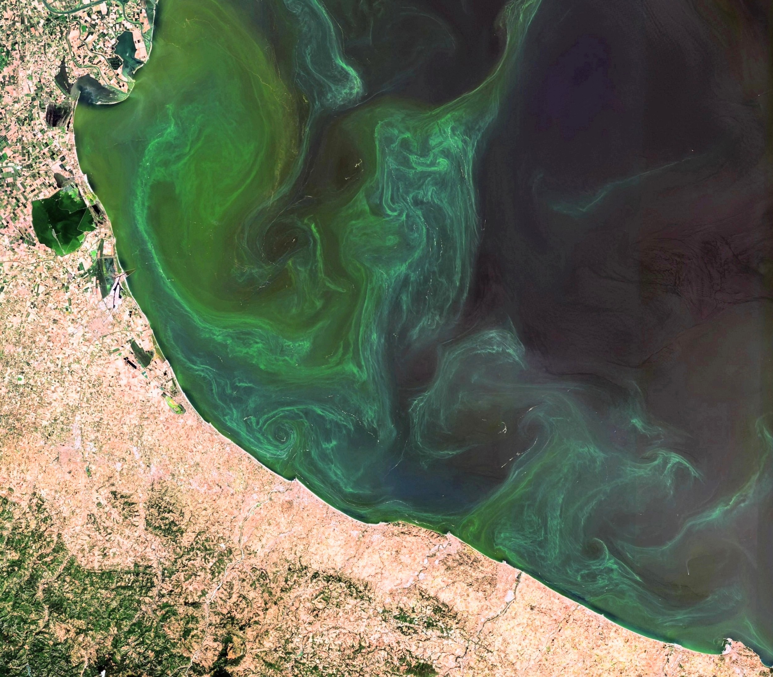 How marine heatwaves impact ocean health - Earth.com