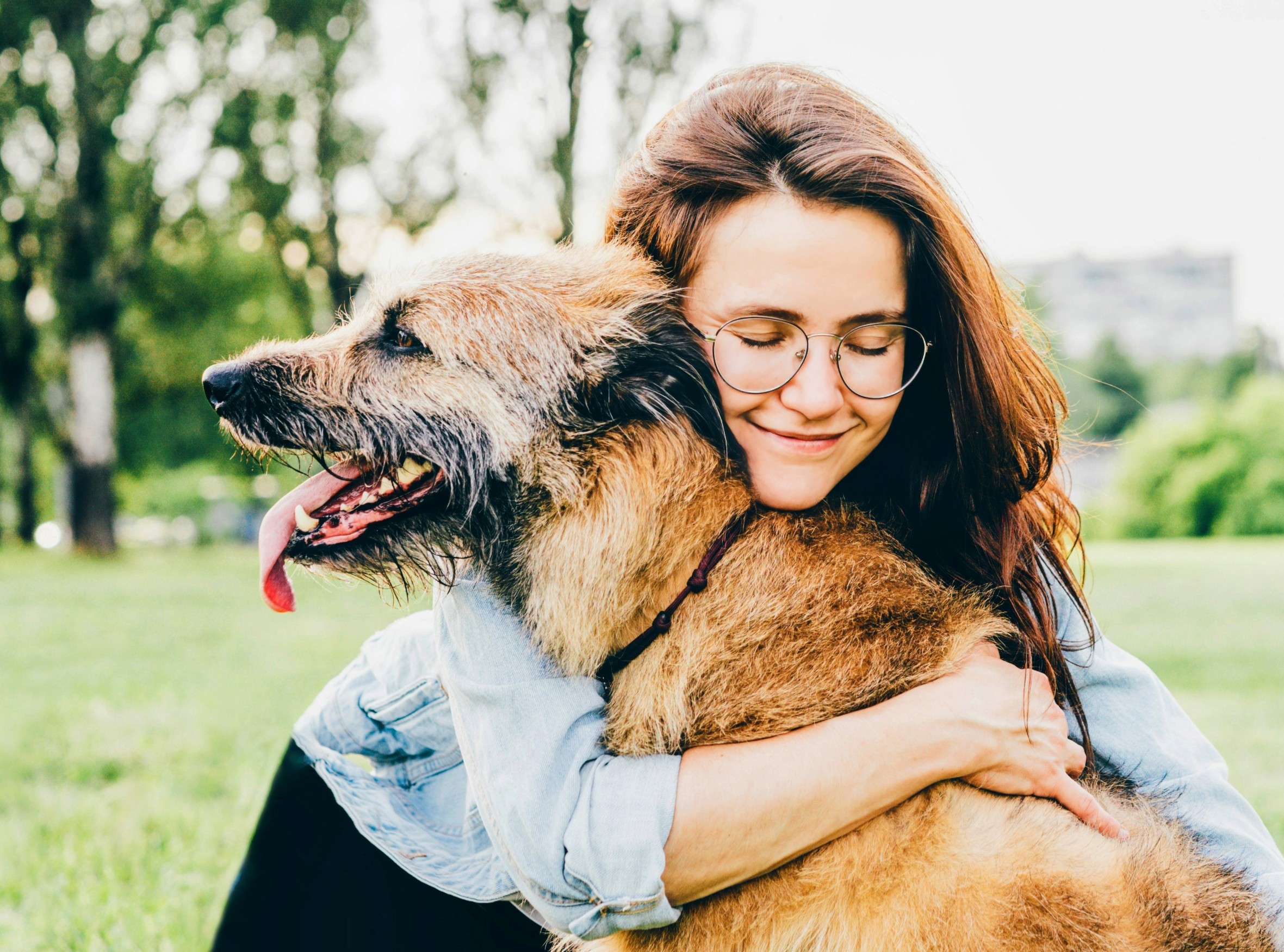 Dogs can 'feel' our emotions through our heart rate - Earth.com