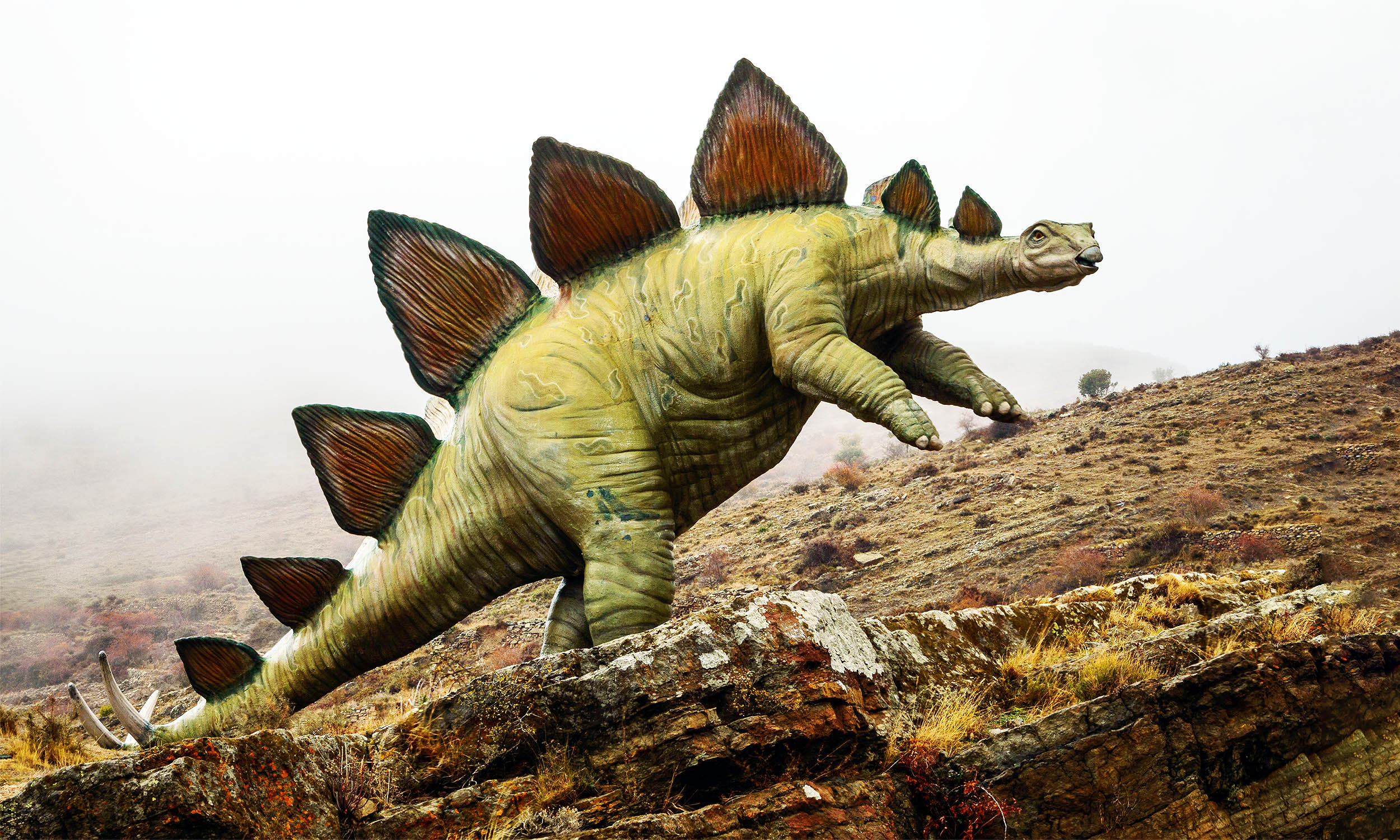 Rare Triassic fossil discovery may rewrite the history of dinosaurs ...