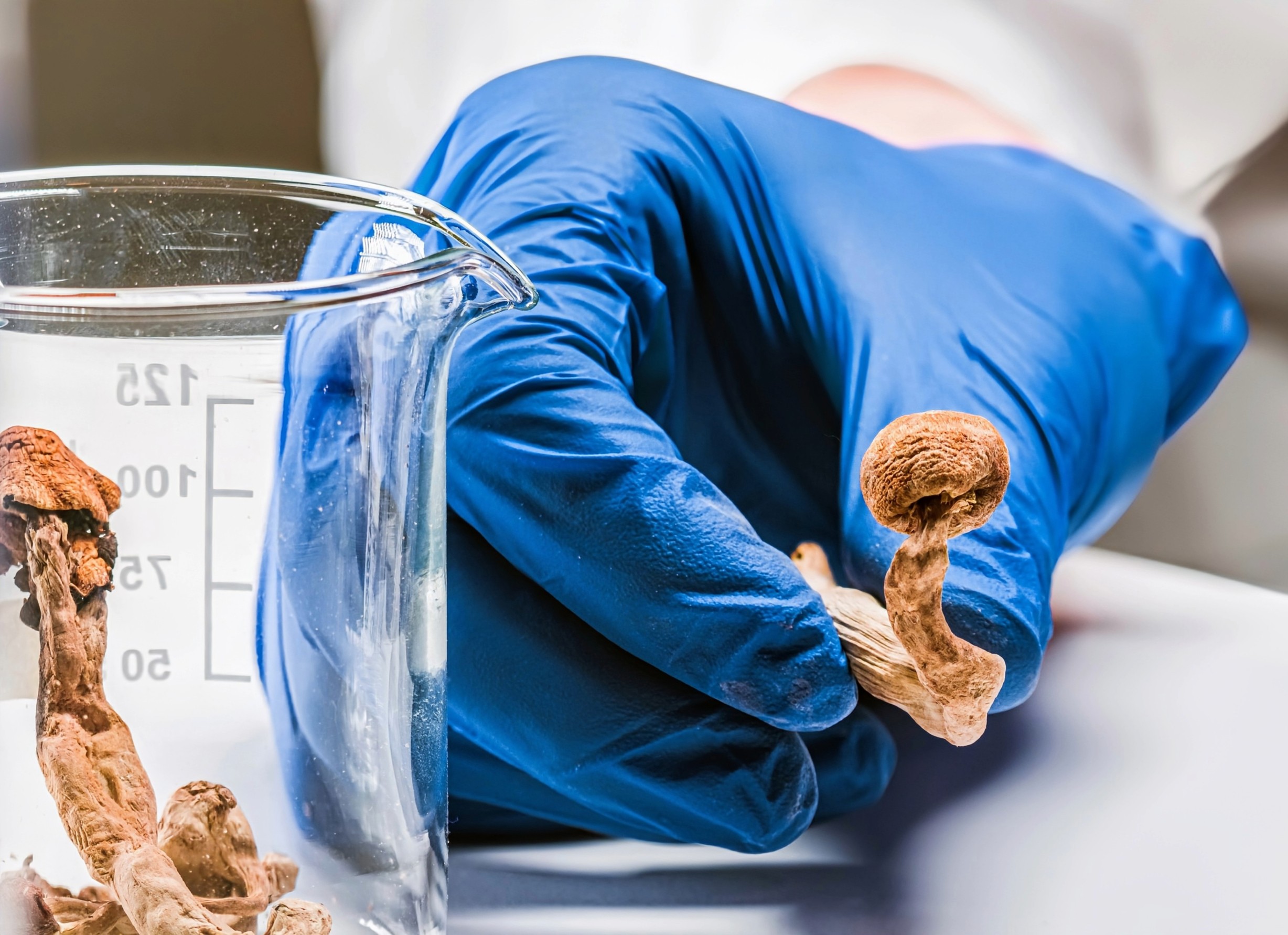 Psilocybin therapy offers hope for millions with depression - Earth.com