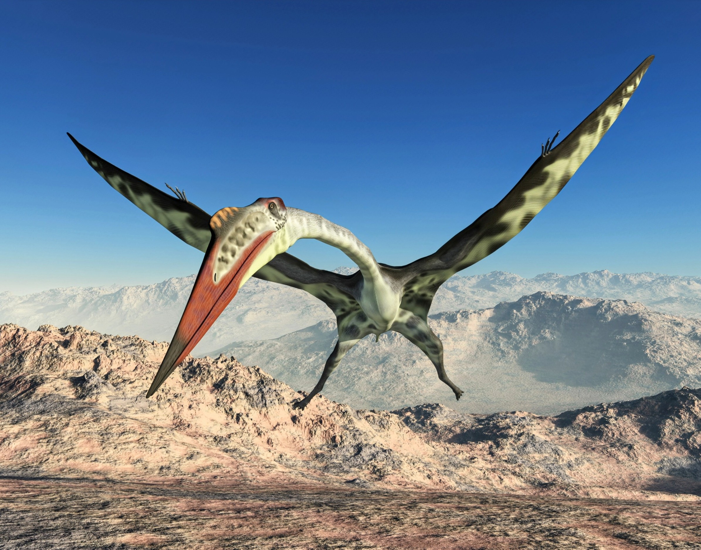 New fossil fills crucial gap in pterosaur evolution - Earth.com
