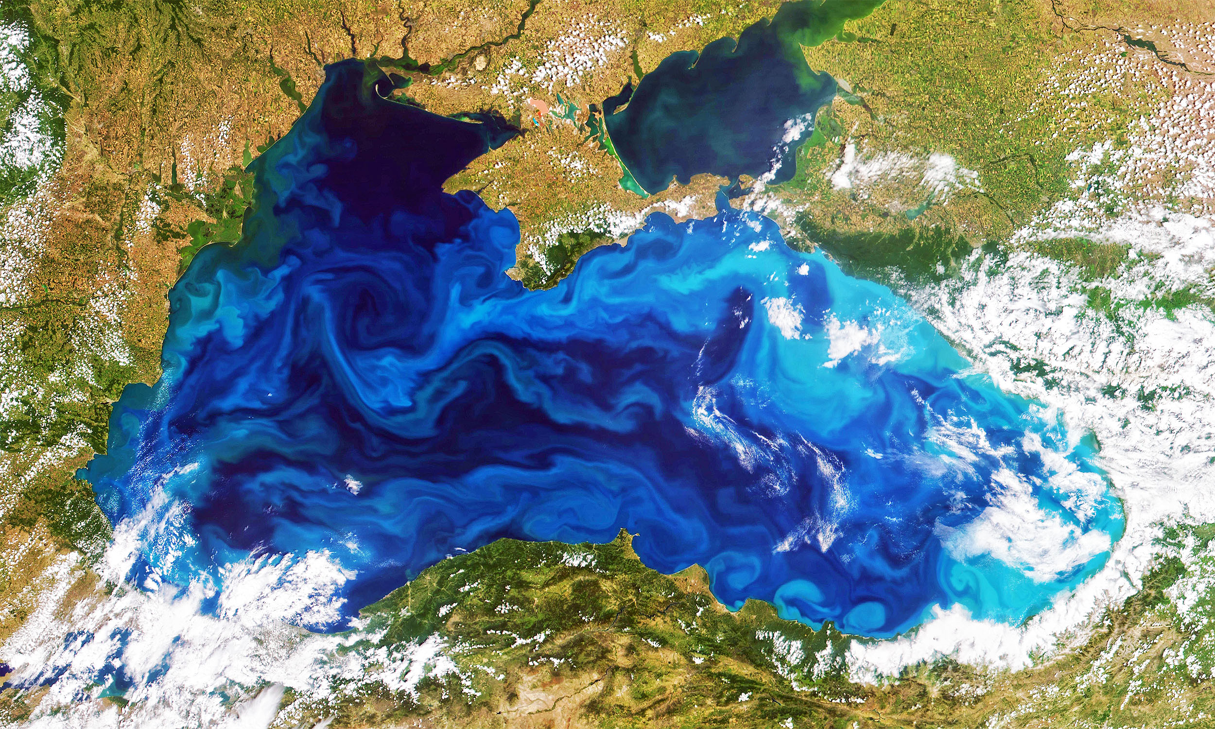 Earth's oceans, seas, and lakes are rapidly changing colors - Earth.com