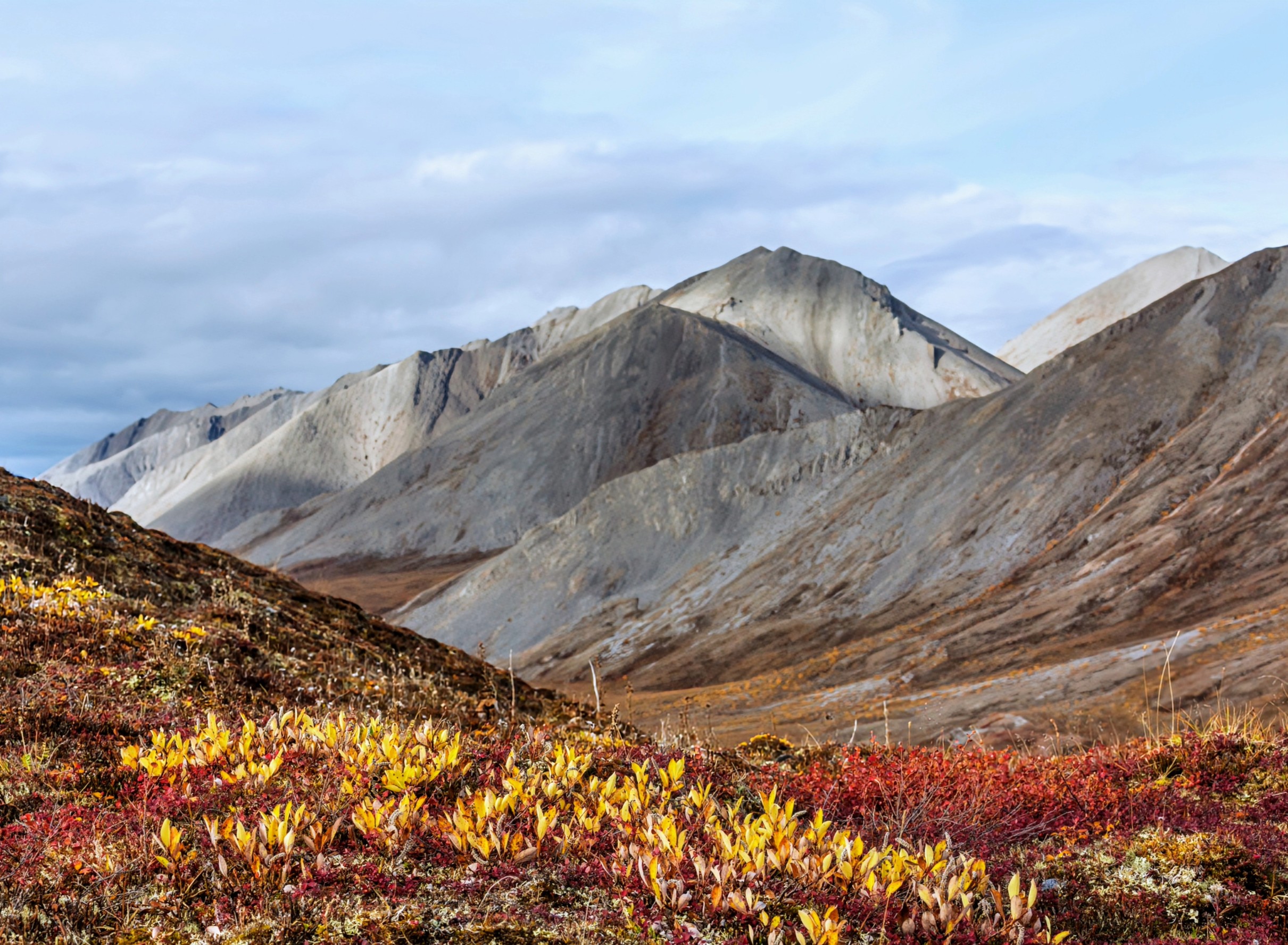 Arctic dust plays a hidden role in accelerating warming - Earth.com