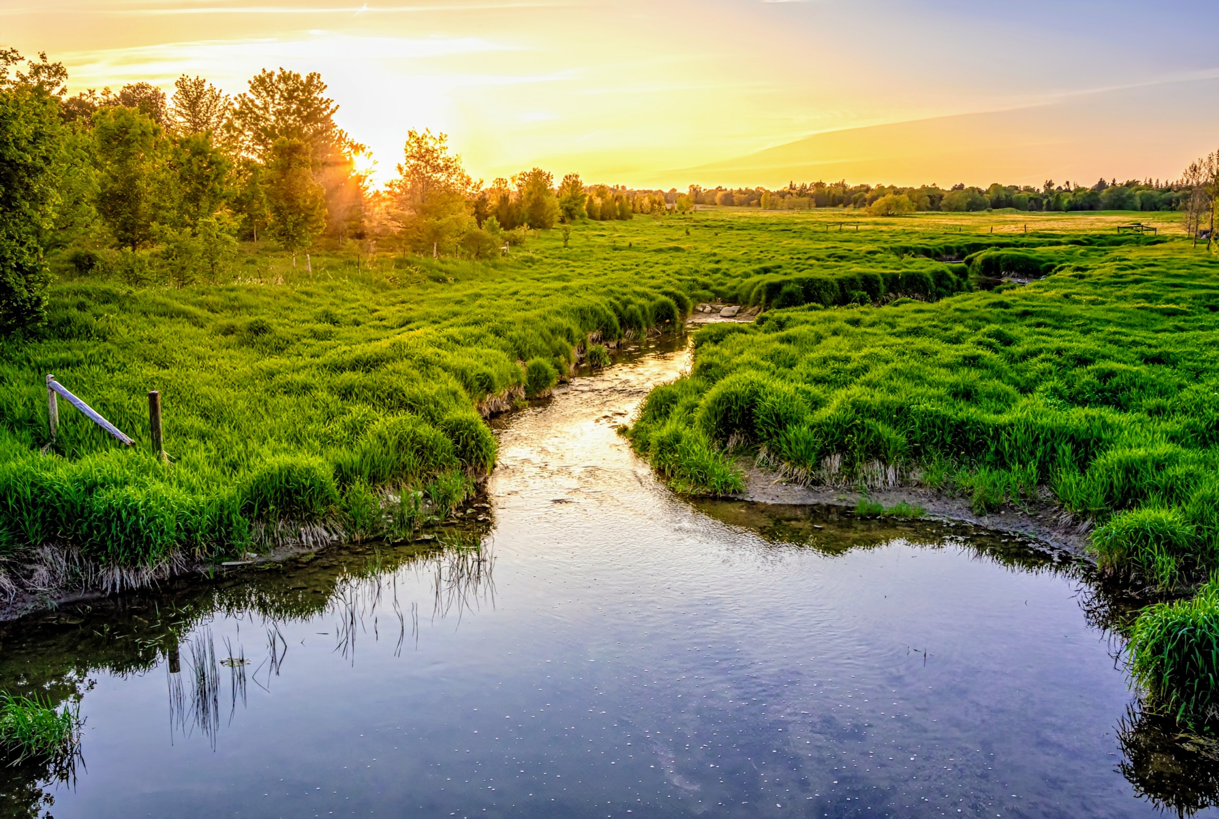 Streams near farms are 'fizzy' with nitrous oxide - Earth.com