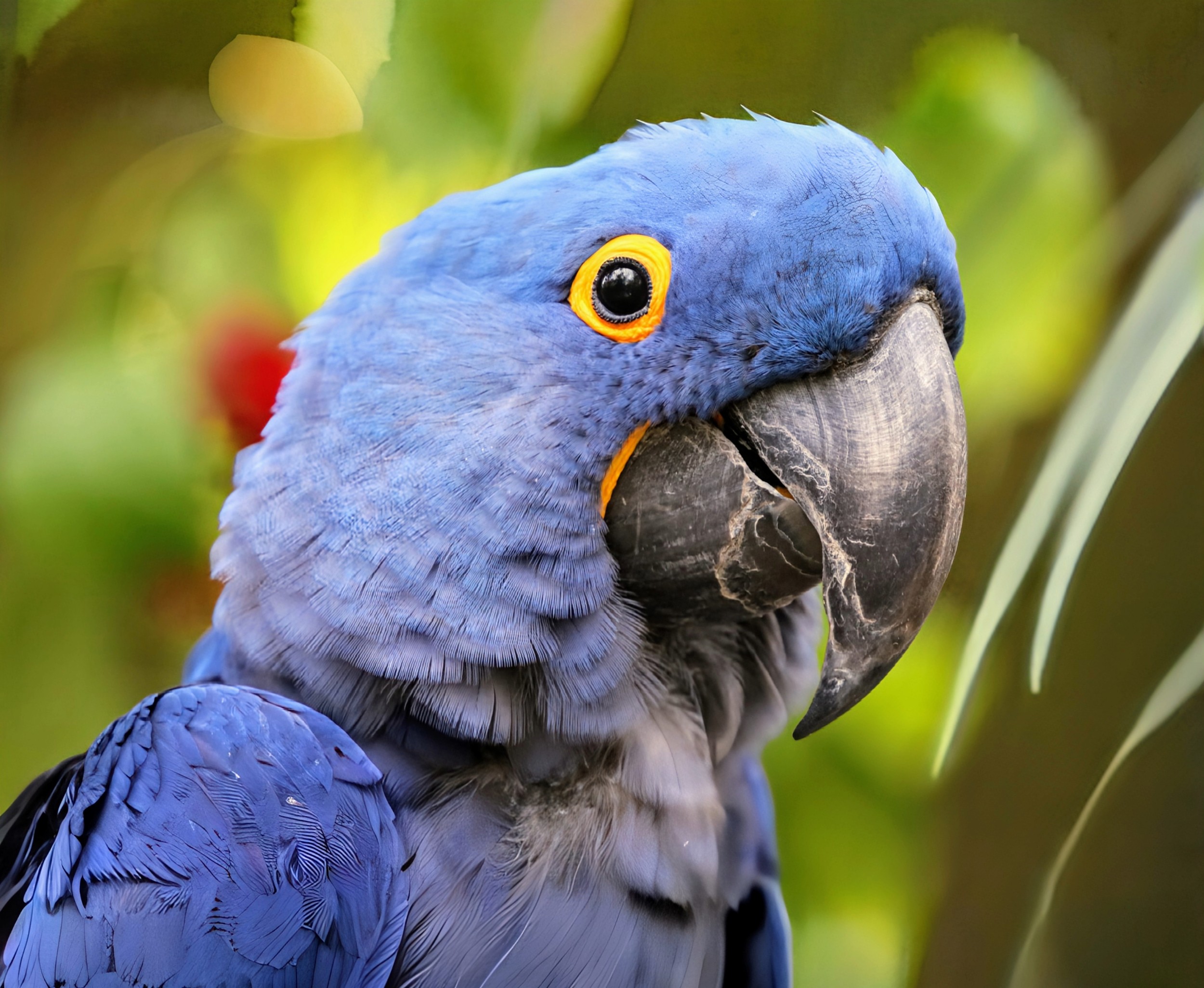 'Old and wise' animals are essential for the survival of species ...