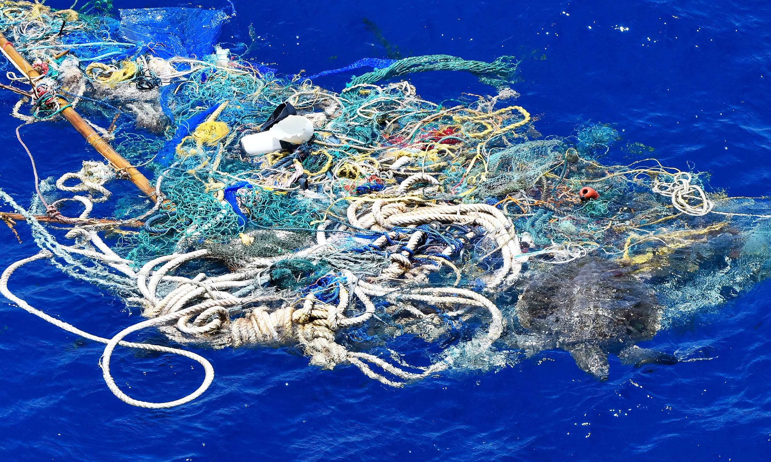 Some scientists call for a halt to cleaning plastic from oceans - Earth.com