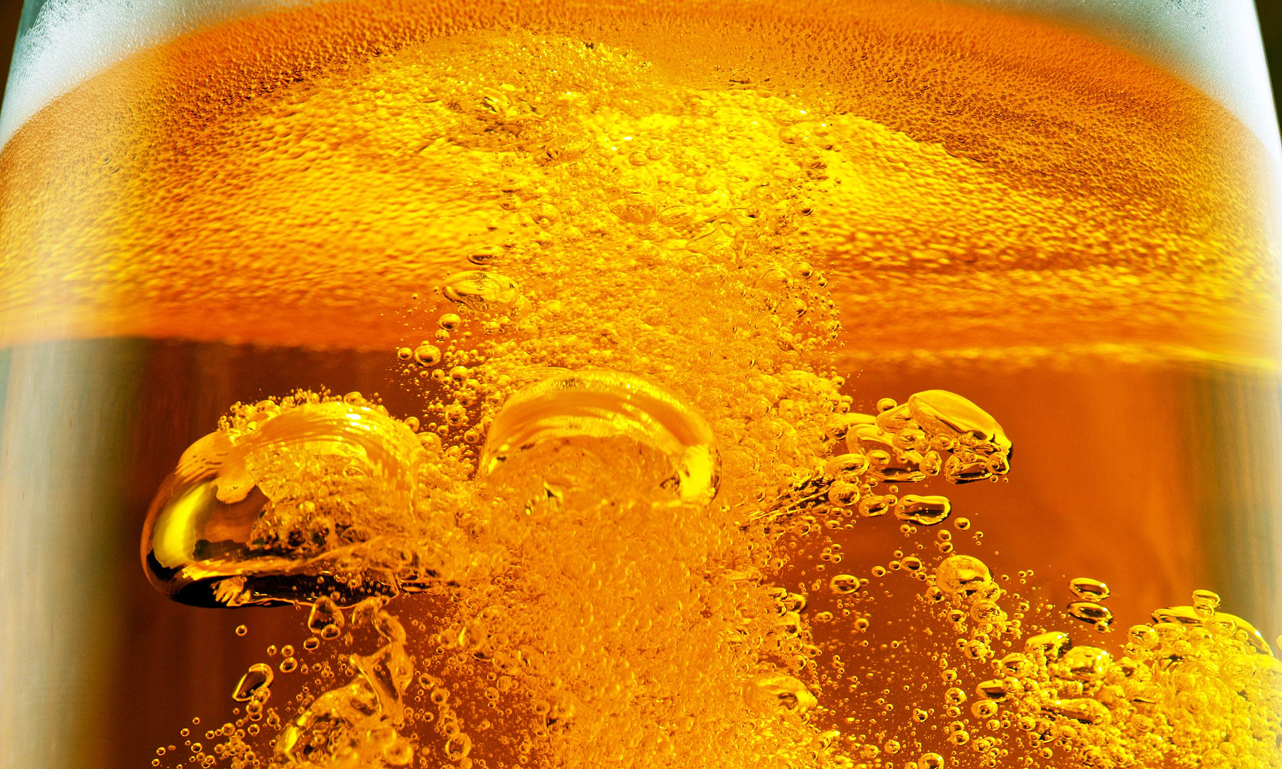 Ancient humans were brewing beer in China over 10,000 years ago - Earth.com