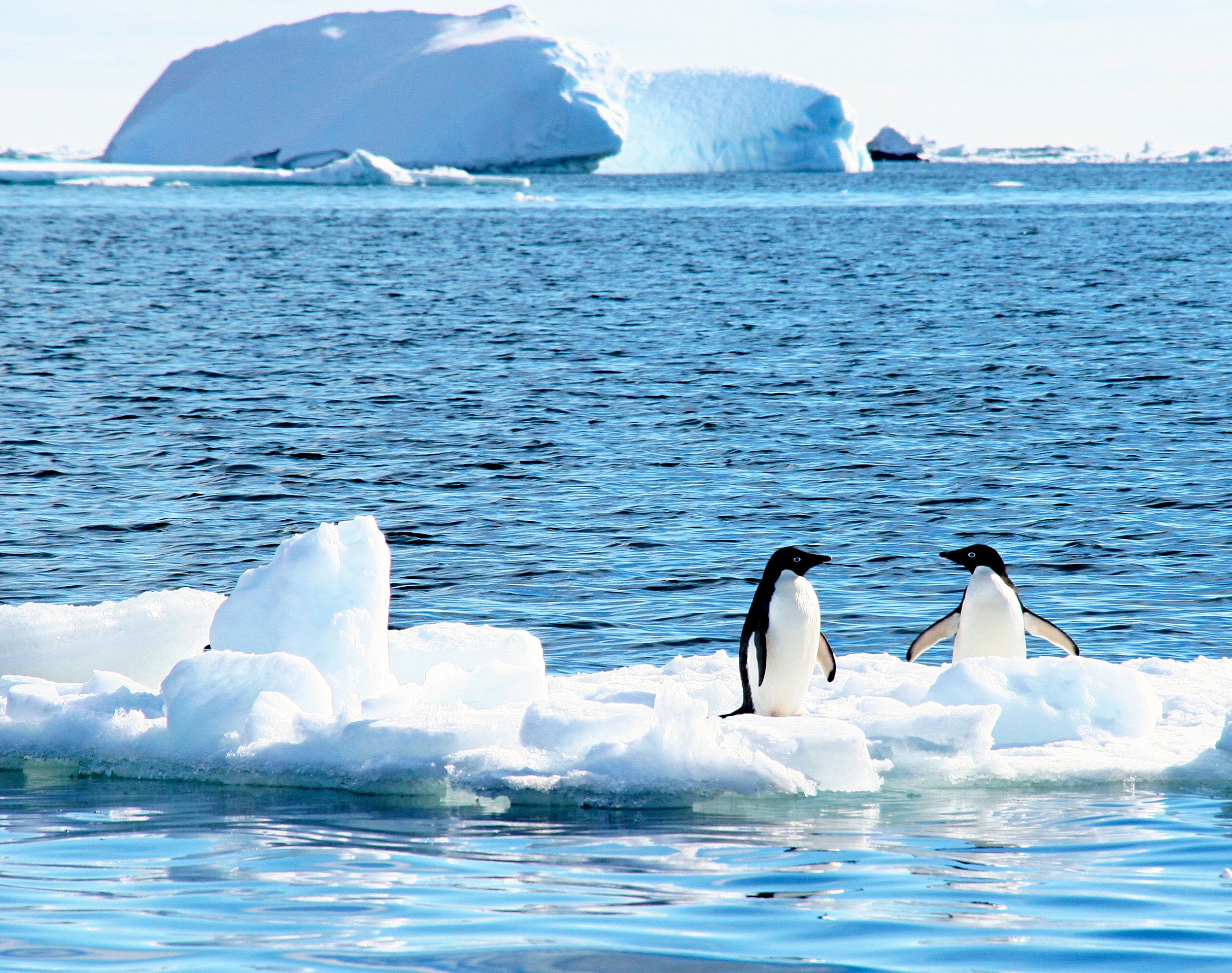 Antarctic sea ice loss is causing severe storms around the world ...