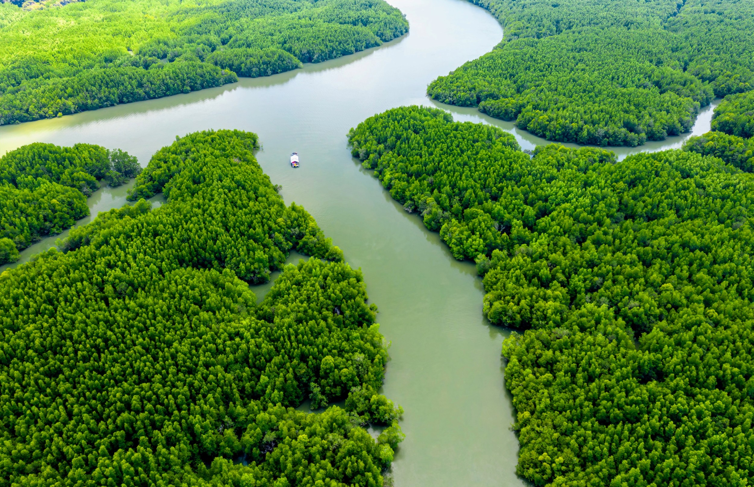 Earth’s carbon sinks are being pushed to their limits - Earth.com