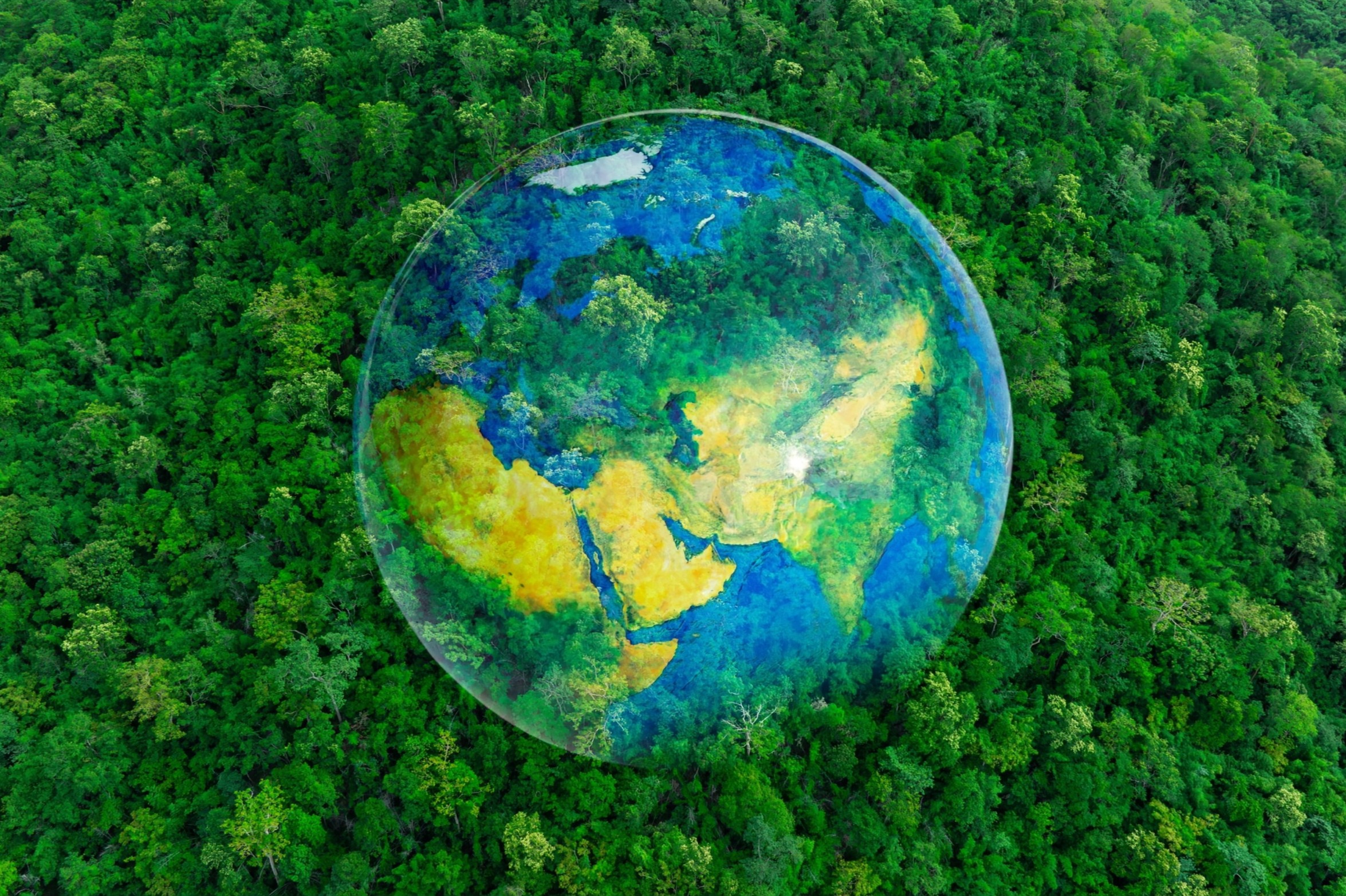 China’s Great Green Wall has reached a new milestone - Earth.com