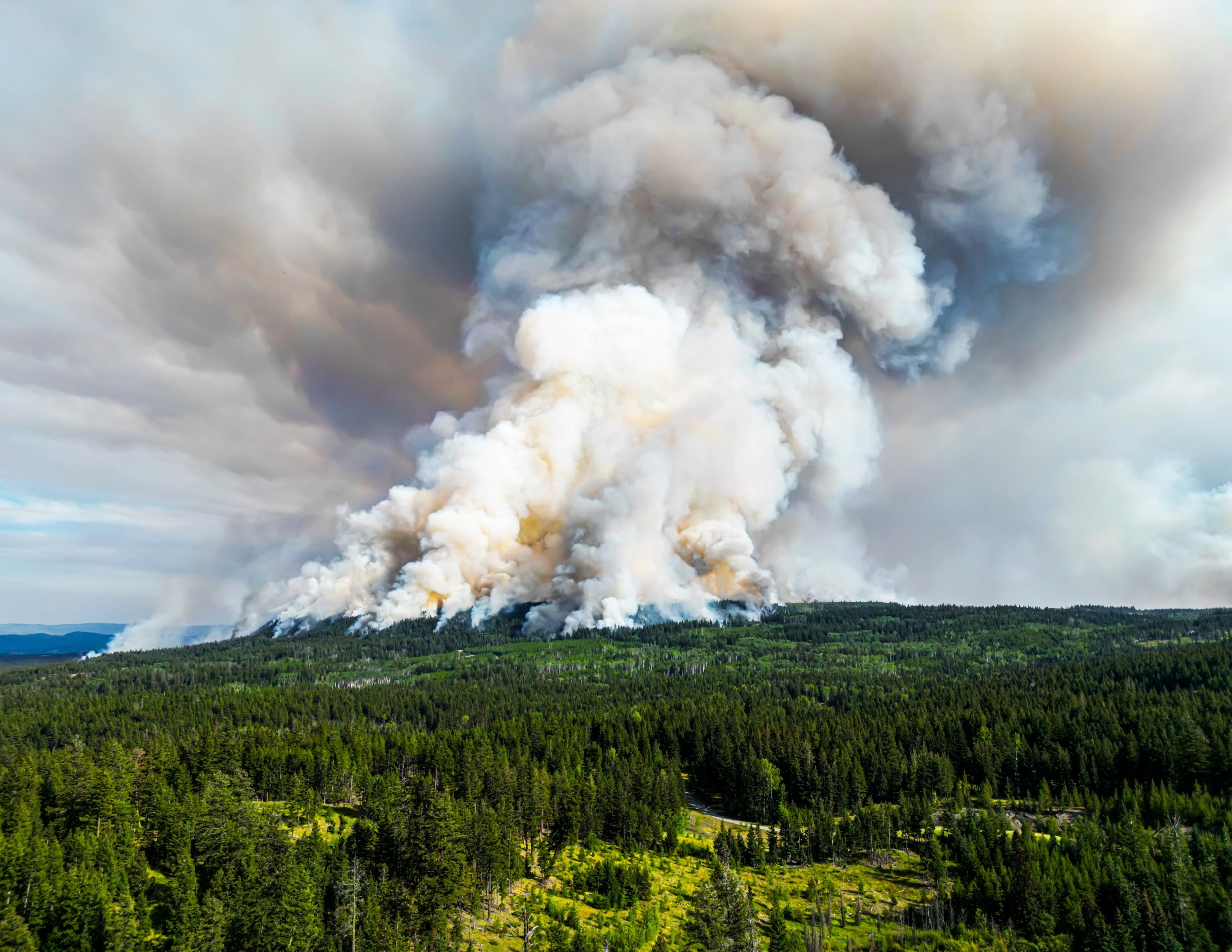 Experts have identified the key driver of severe wildfires in Canada ...