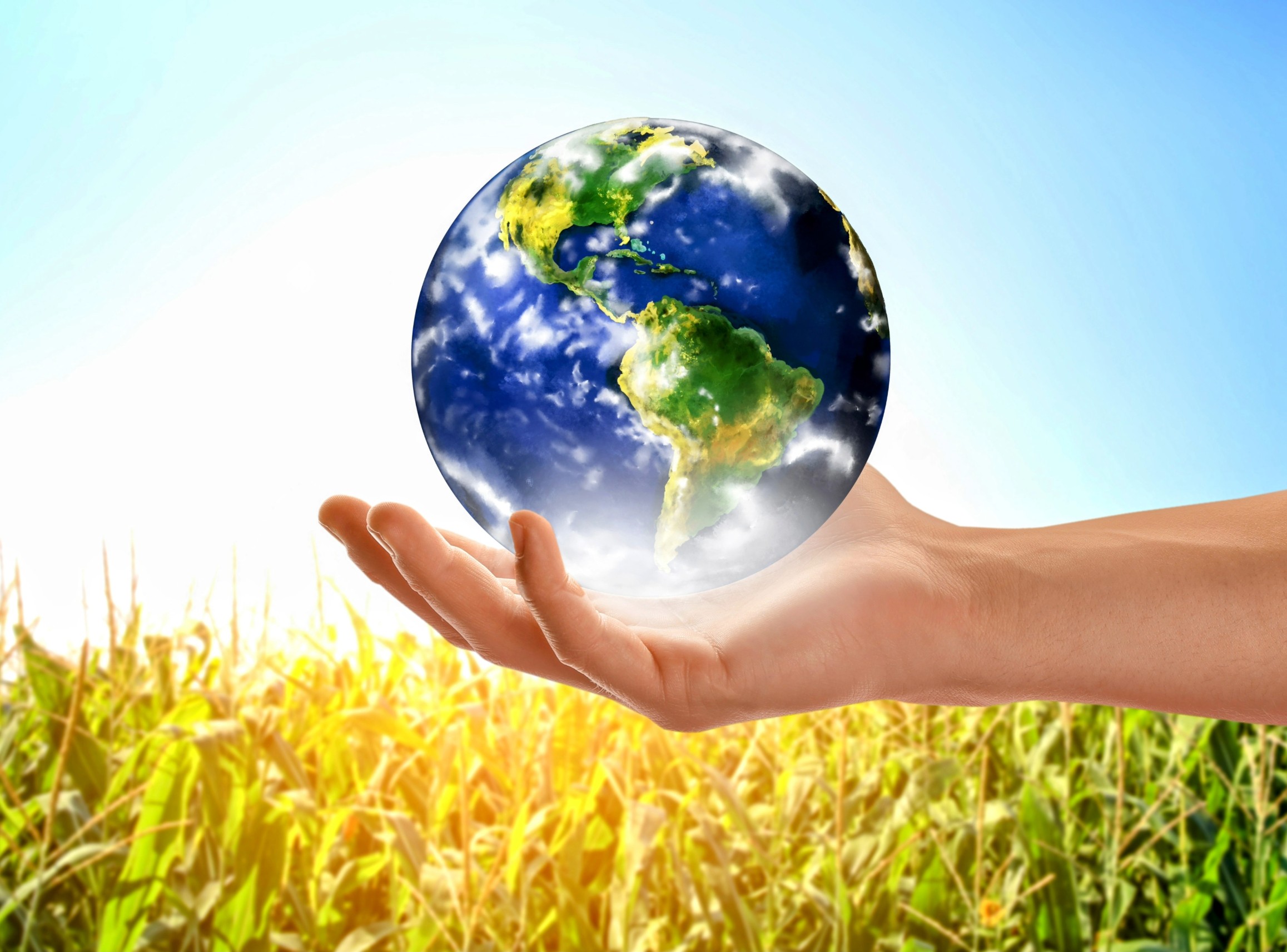 2024 confirmed as Earth's hottest year in recorded history - Earth.com