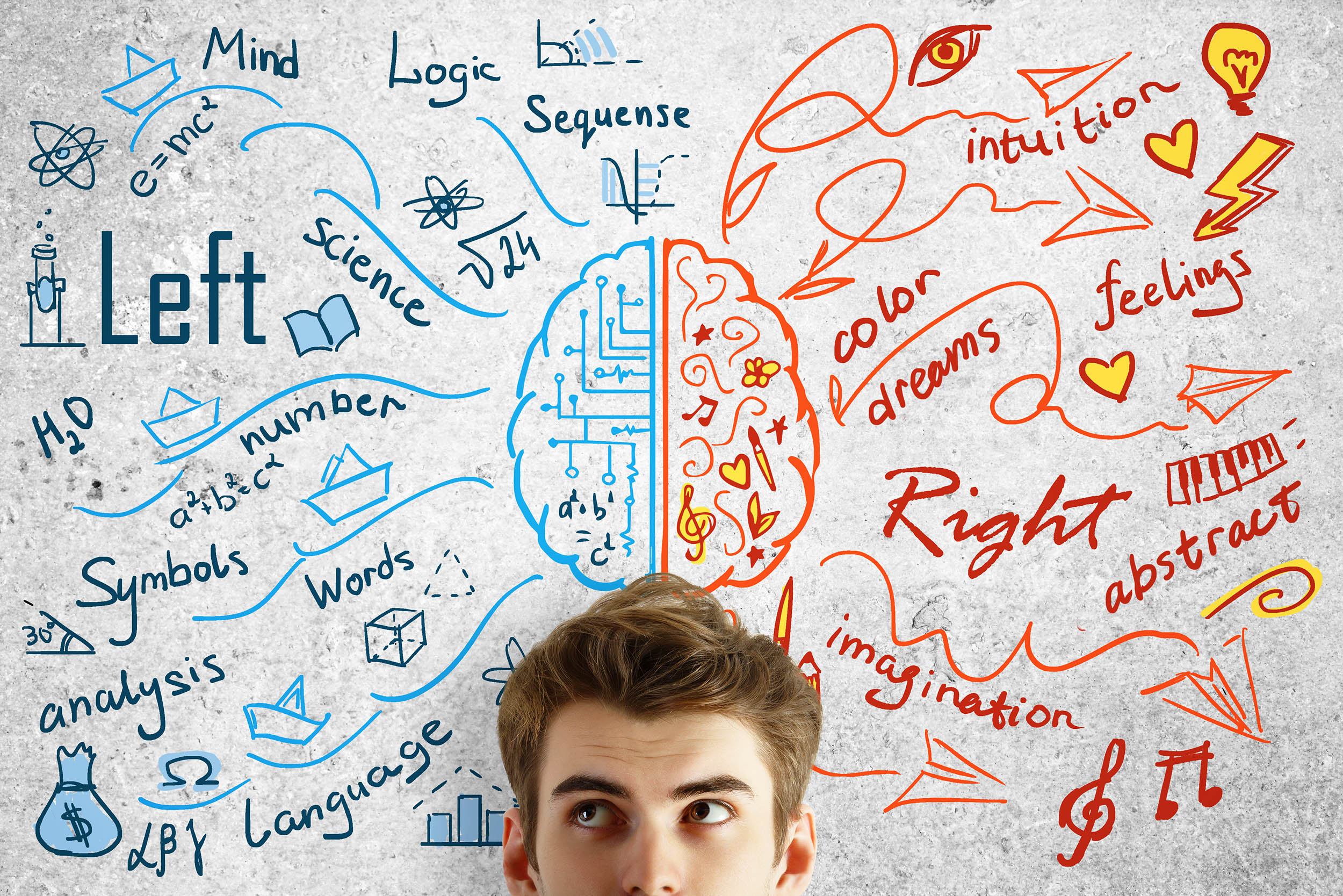 Words shape how our brains process feelings and guide decisions - Earth.com