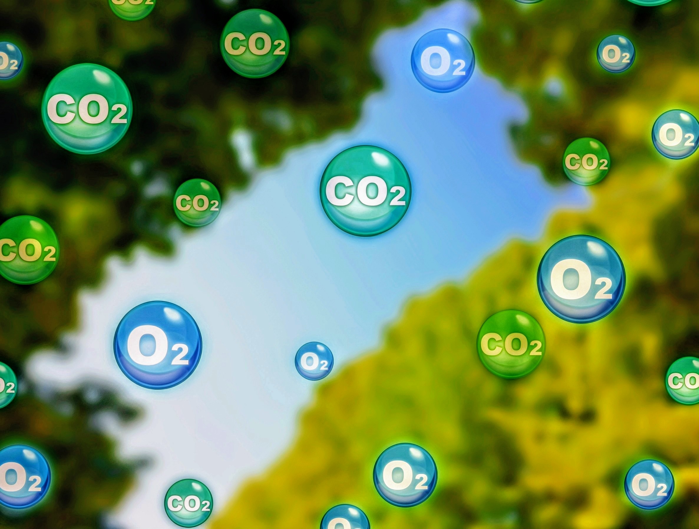 New system captures carbon dioxide directly from air - Earth.com