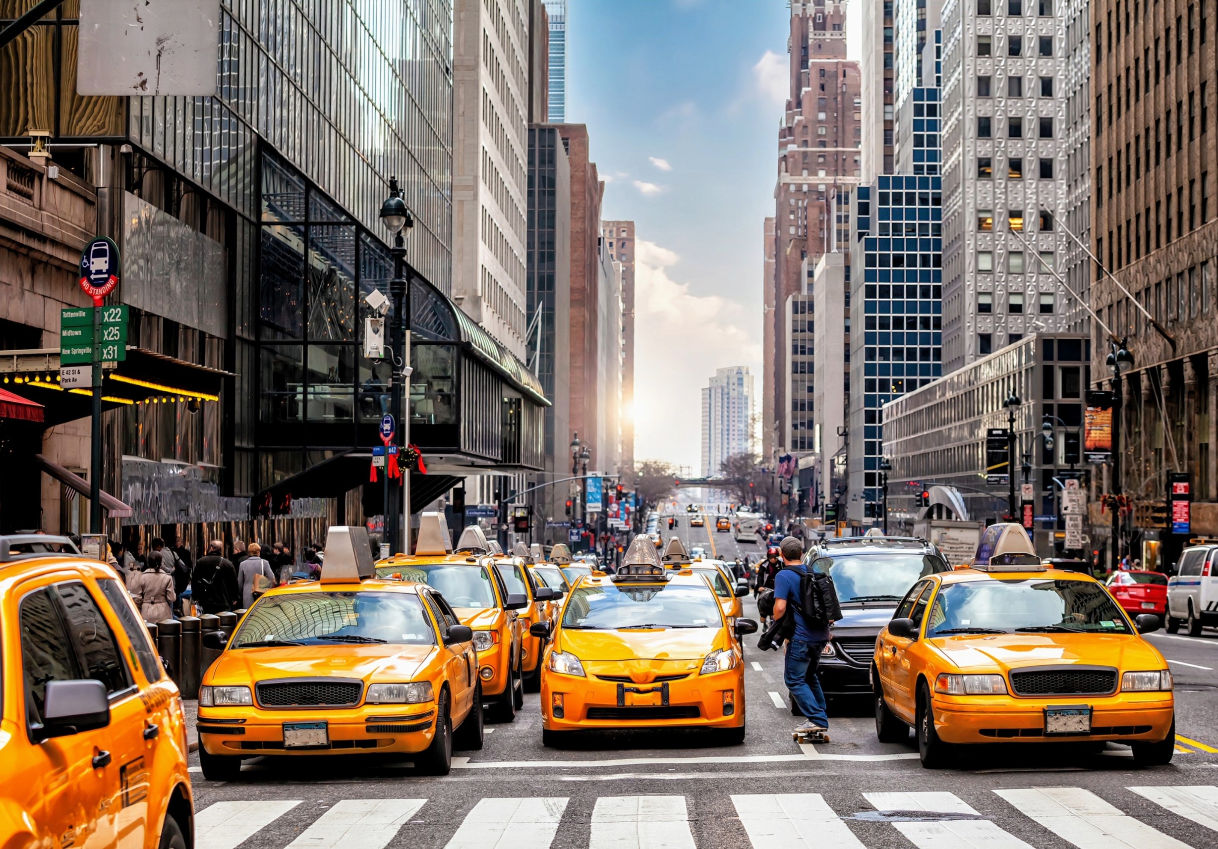 Ant-inspired traffic solutions could improve urban mobility - Earth.com