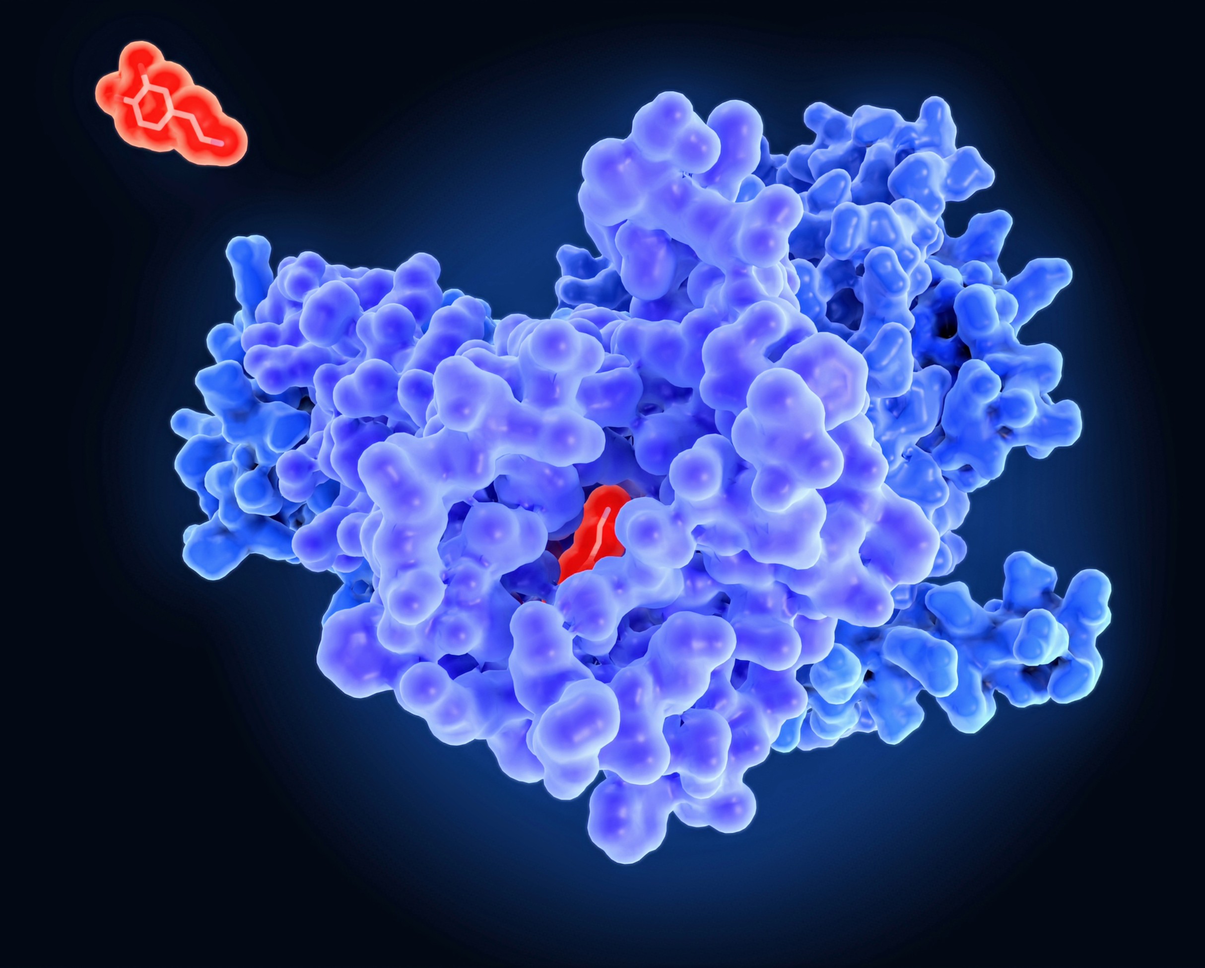 Dopamine's role in male aggression fades with fighting experience ...