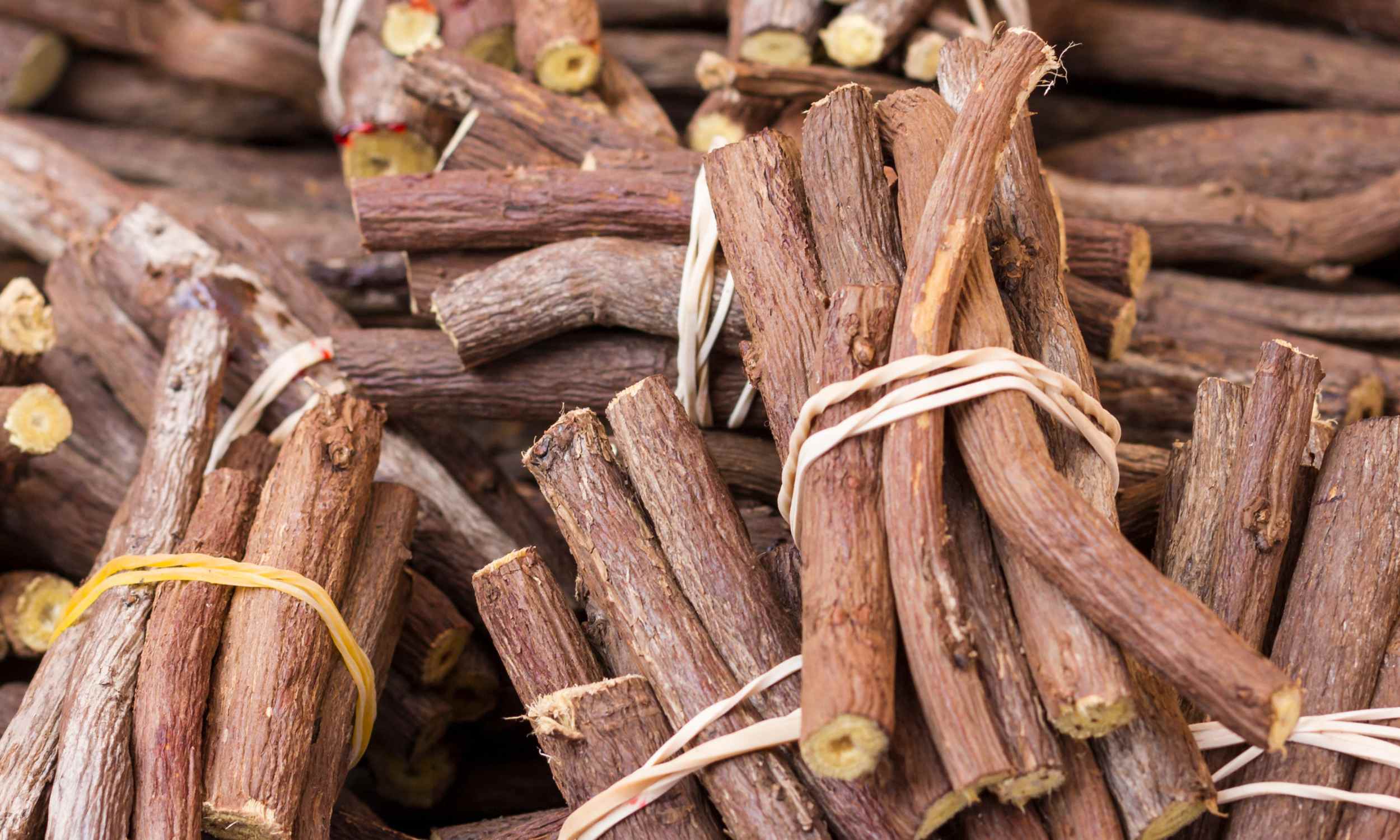 "Candy" plant has revitalizing effects on the entire body - Earth.com