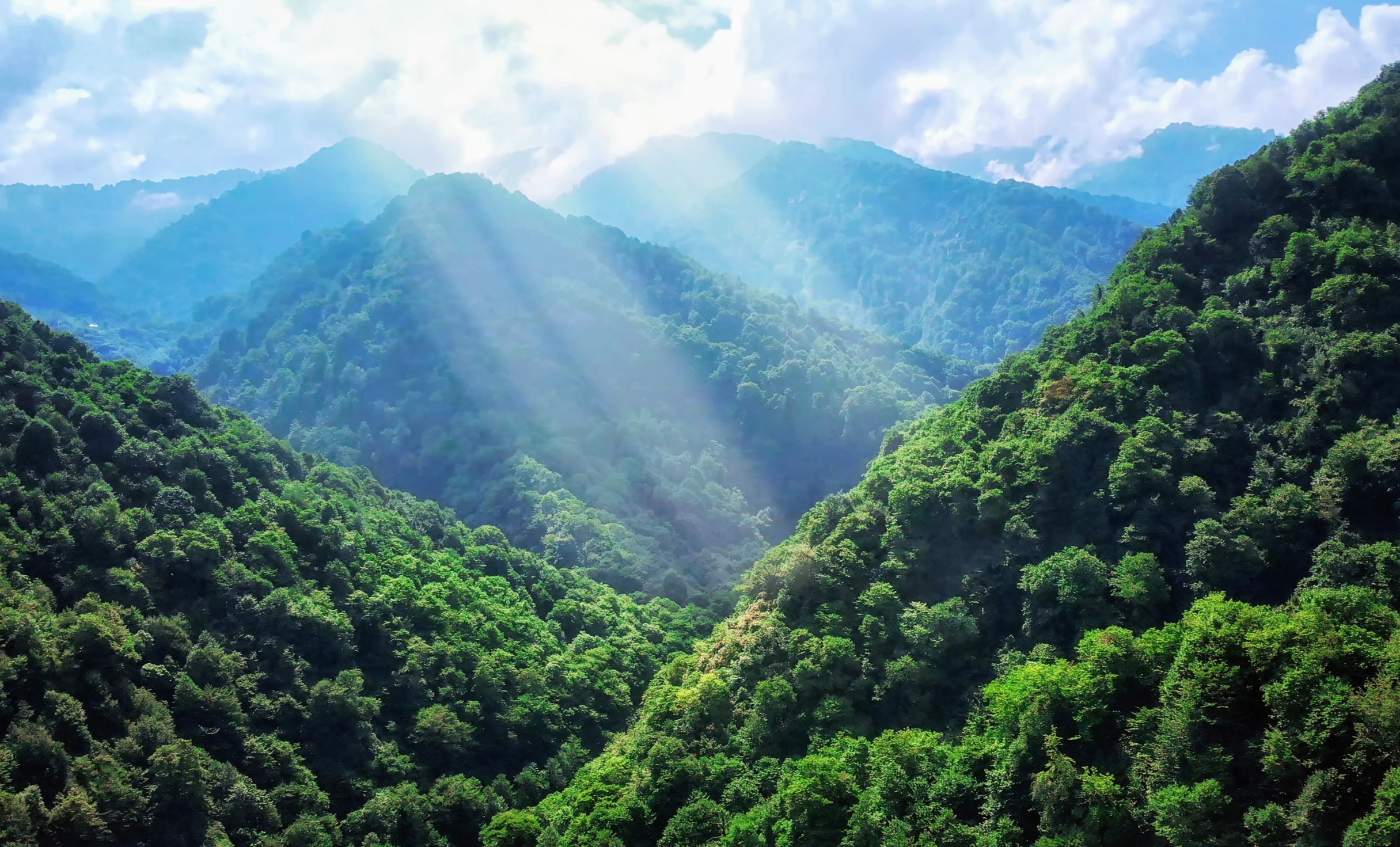 2020 was Earth’s greenest year in two decades - here's why - Earth.com