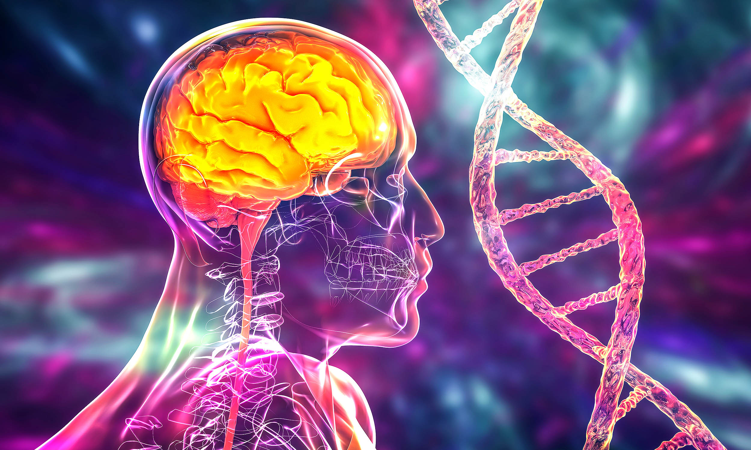Subtle DNA changes shaped human brain evolution - Earth.com