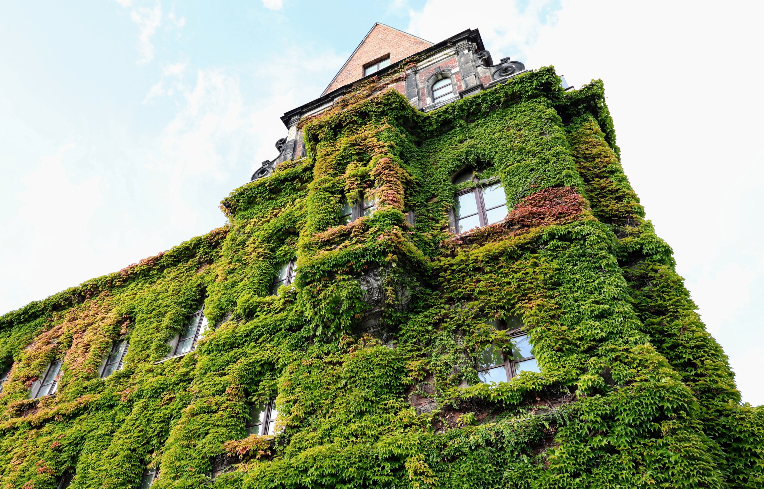 Green walls cool cities and create urban habitats - Earth.com