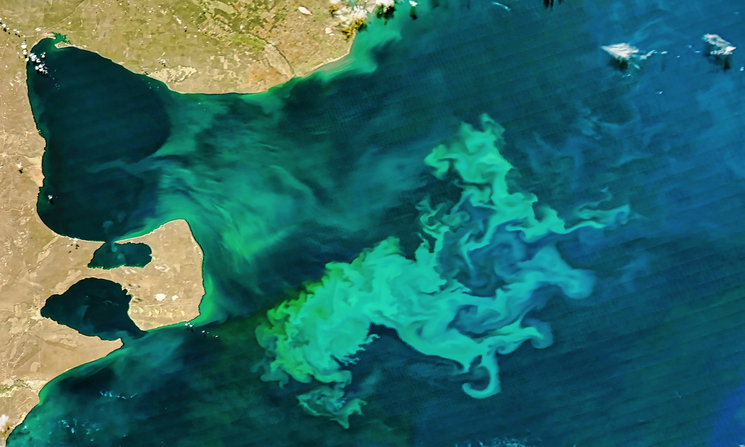 Tracking tiny life: New tools for phytoplankton research - Earth.com