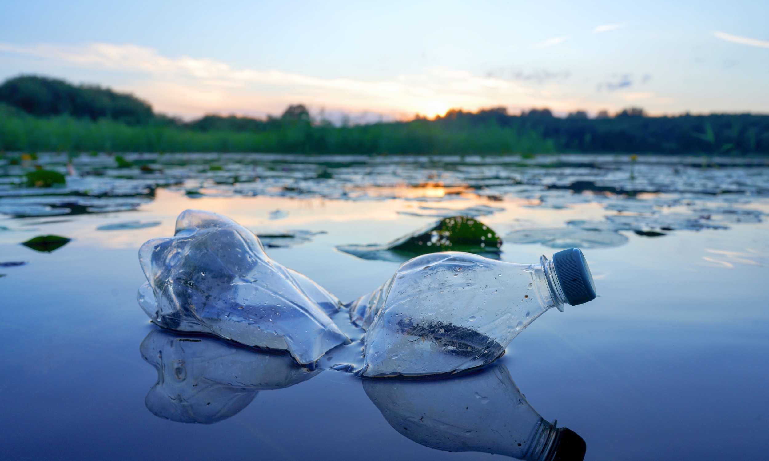 Marine fungi can be trained to degrade plastic pollution - Earth.com