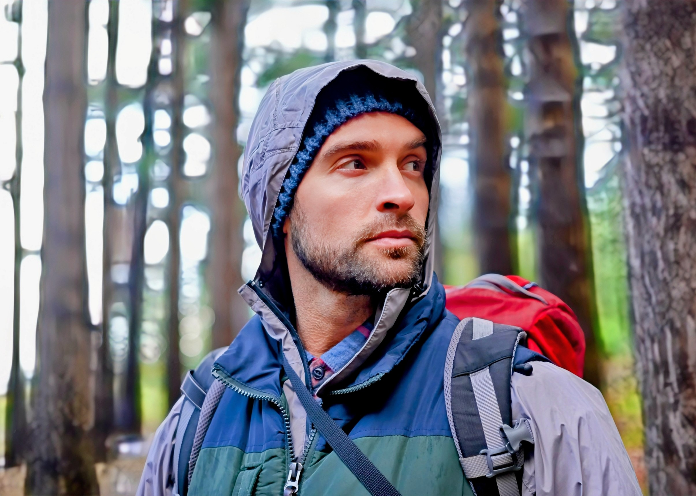 Primal instincts may still drive modern human decisions - Earth.com