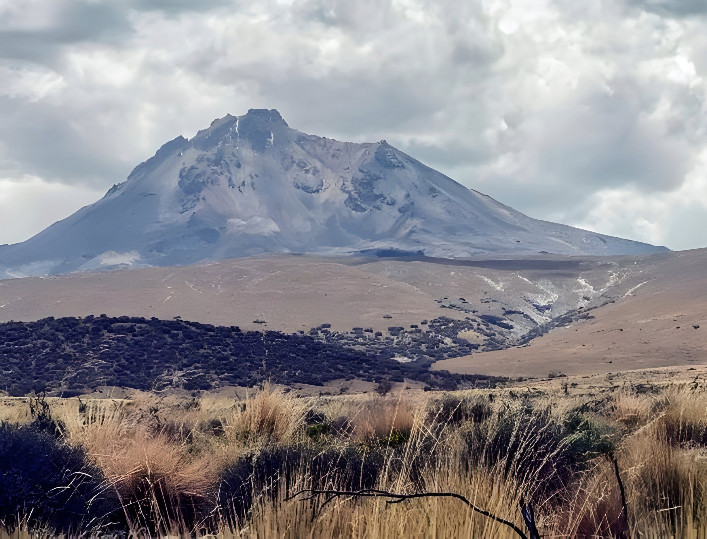 Burned and barren: How wildfires transform volcanic soils - Earth.com